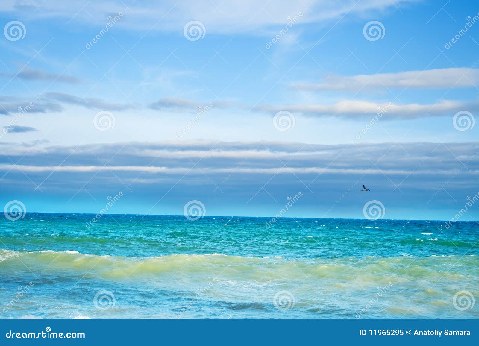 386 Seagull Bird Flying Turquoise Blue Sea Ocean Photos - Free ...