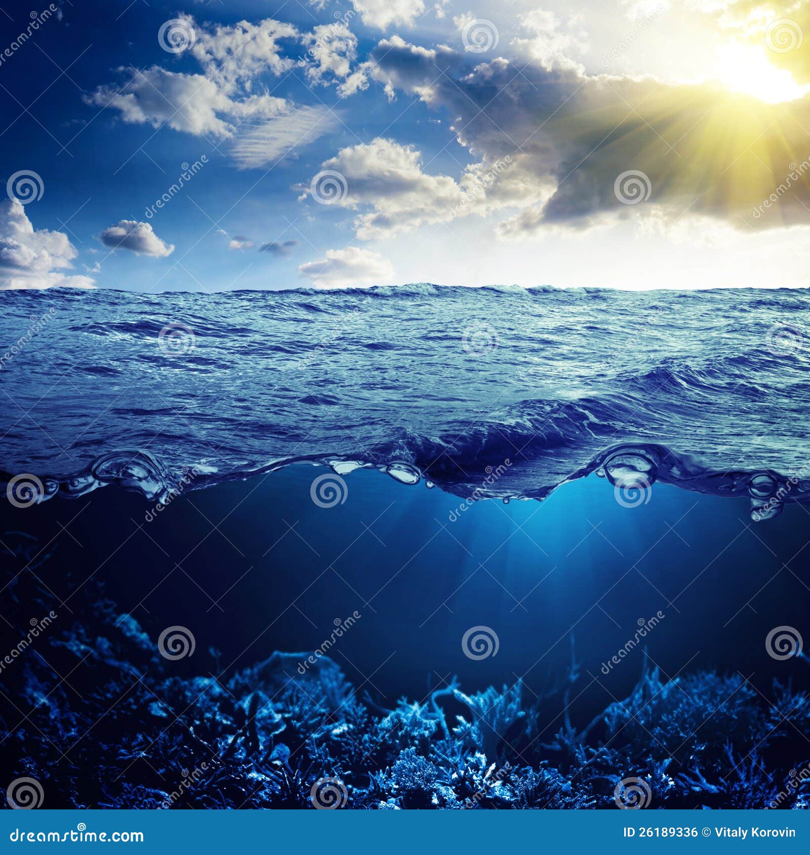 Ocean above and below stock photo. Image of subsurface - 26189336