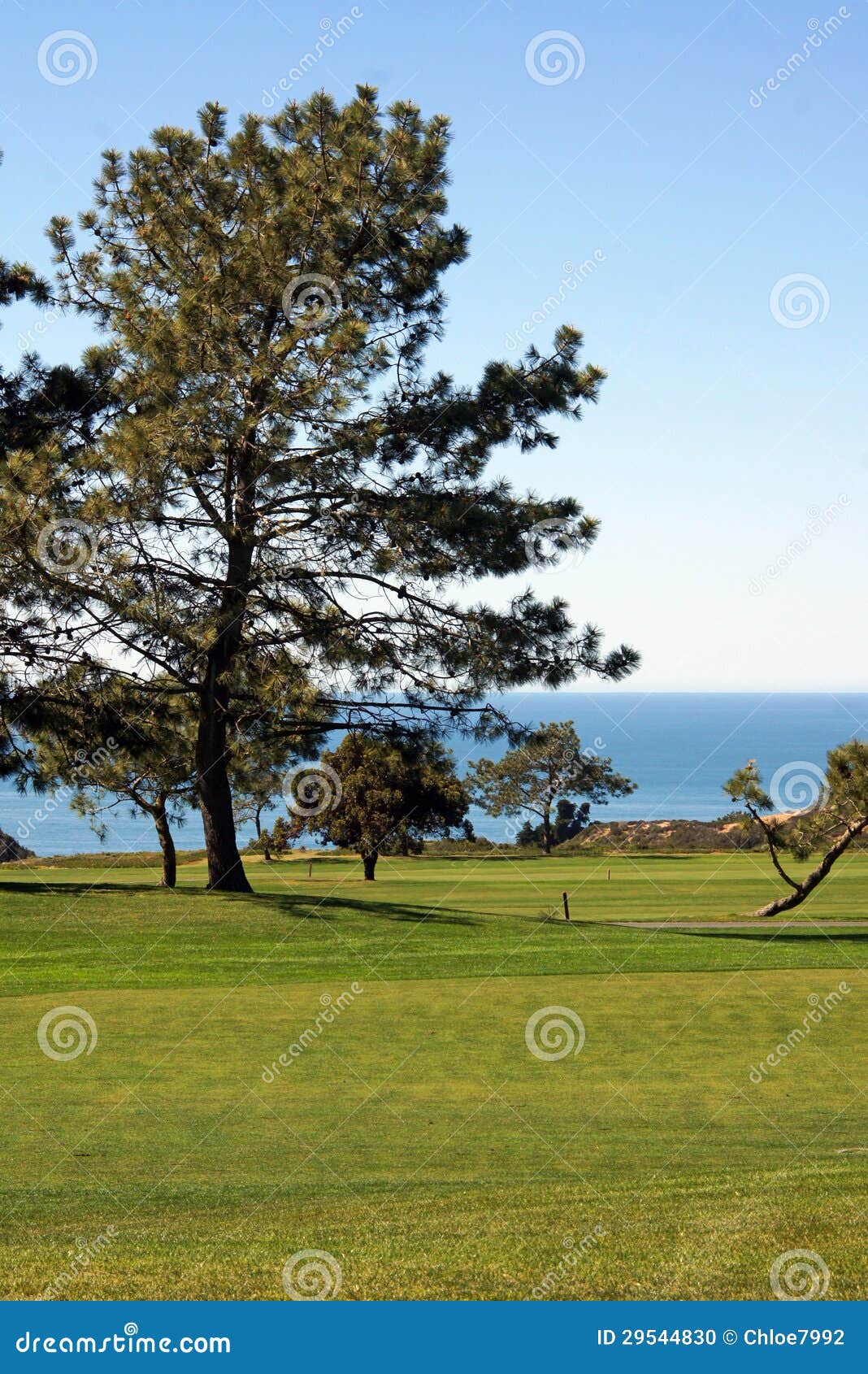 The Ocean Across the Fairway Stock Photo - Image of green, scenic: 29544830