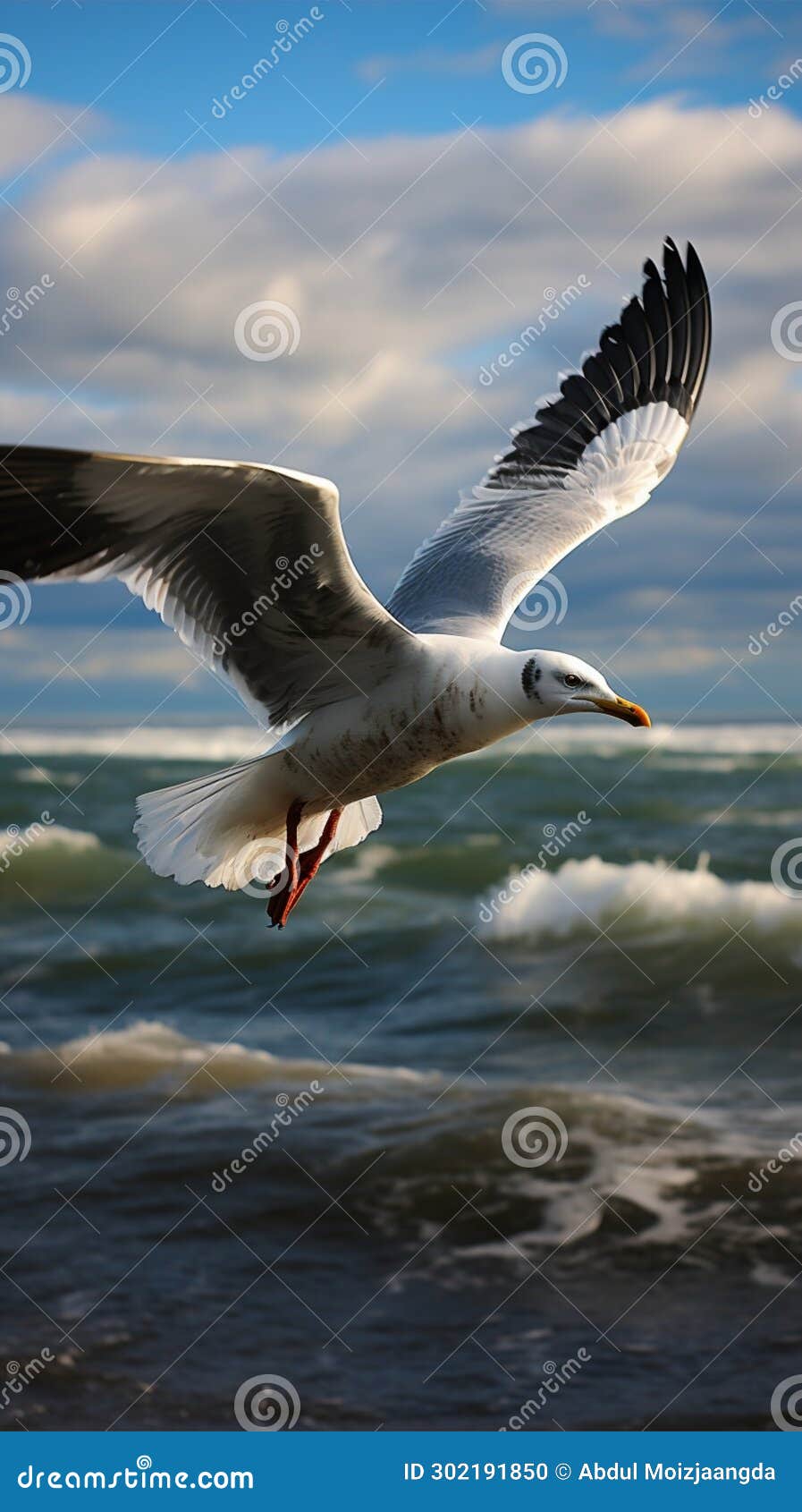 Ocean Aviator Gull in Flight, Wings Span Over the Sea Stock ...