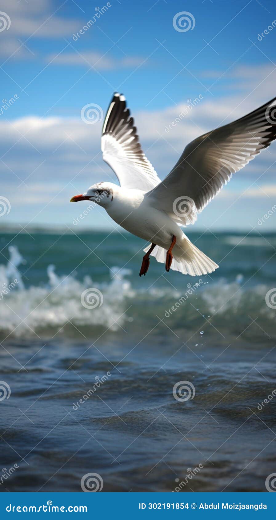 Ocean Aviator Gull in Flight, Wings Span Over the Sea Stock ...