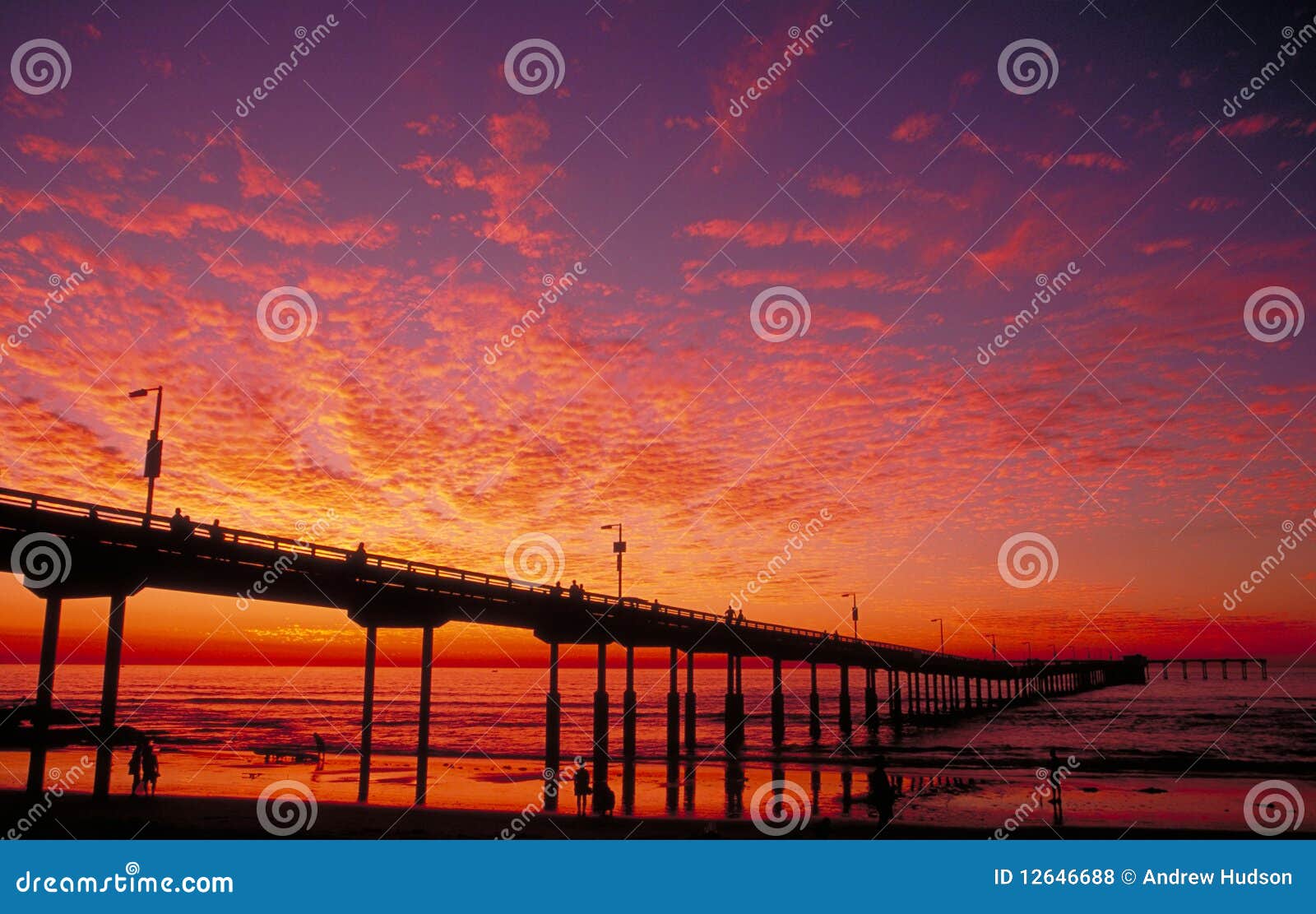 Ocean Beach Pier at Sunset stock photo. Image of beach - 12646688