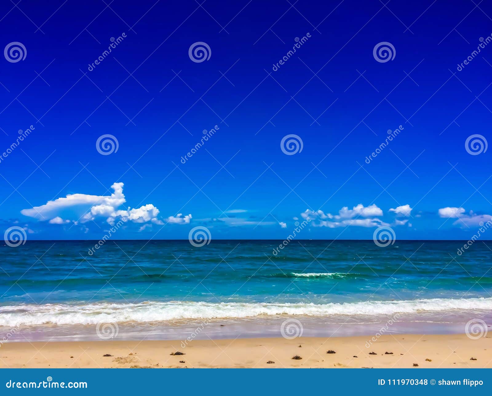 Ocean View in South Florida Stock Photo - Image of ocean, south: 111970348