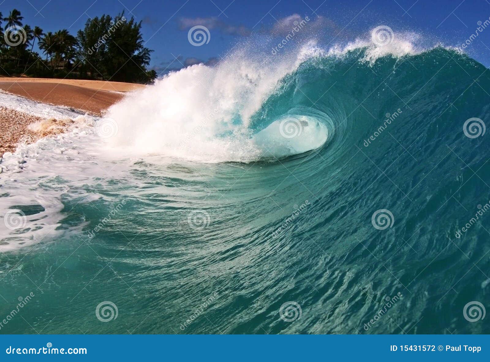 Ocean Beach Wave on the Shore in Hawaii Stock Photo - Image of powerful ...