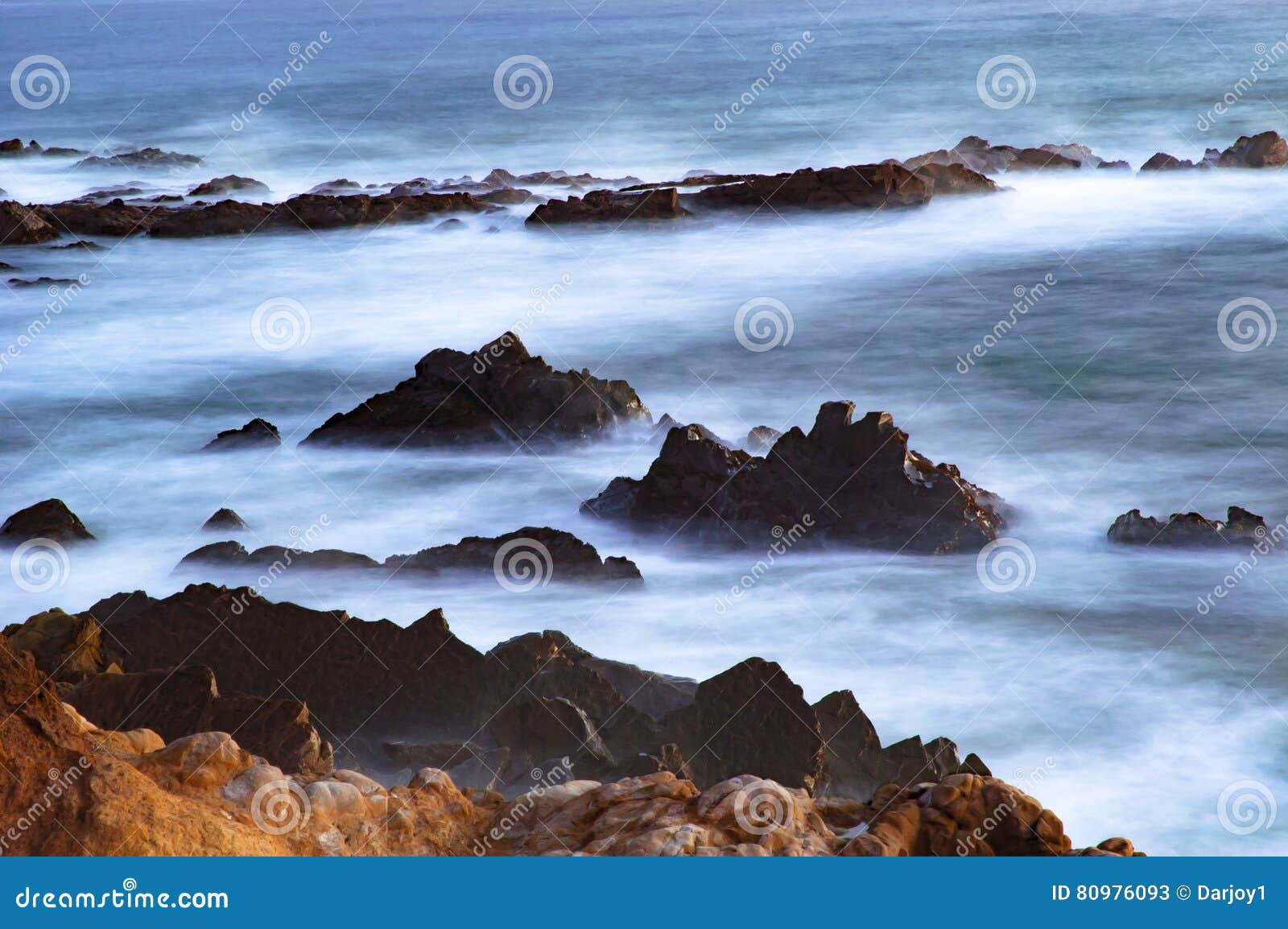 Ocean beauty stock image. Image of mallard, rose, rocks - 80976093