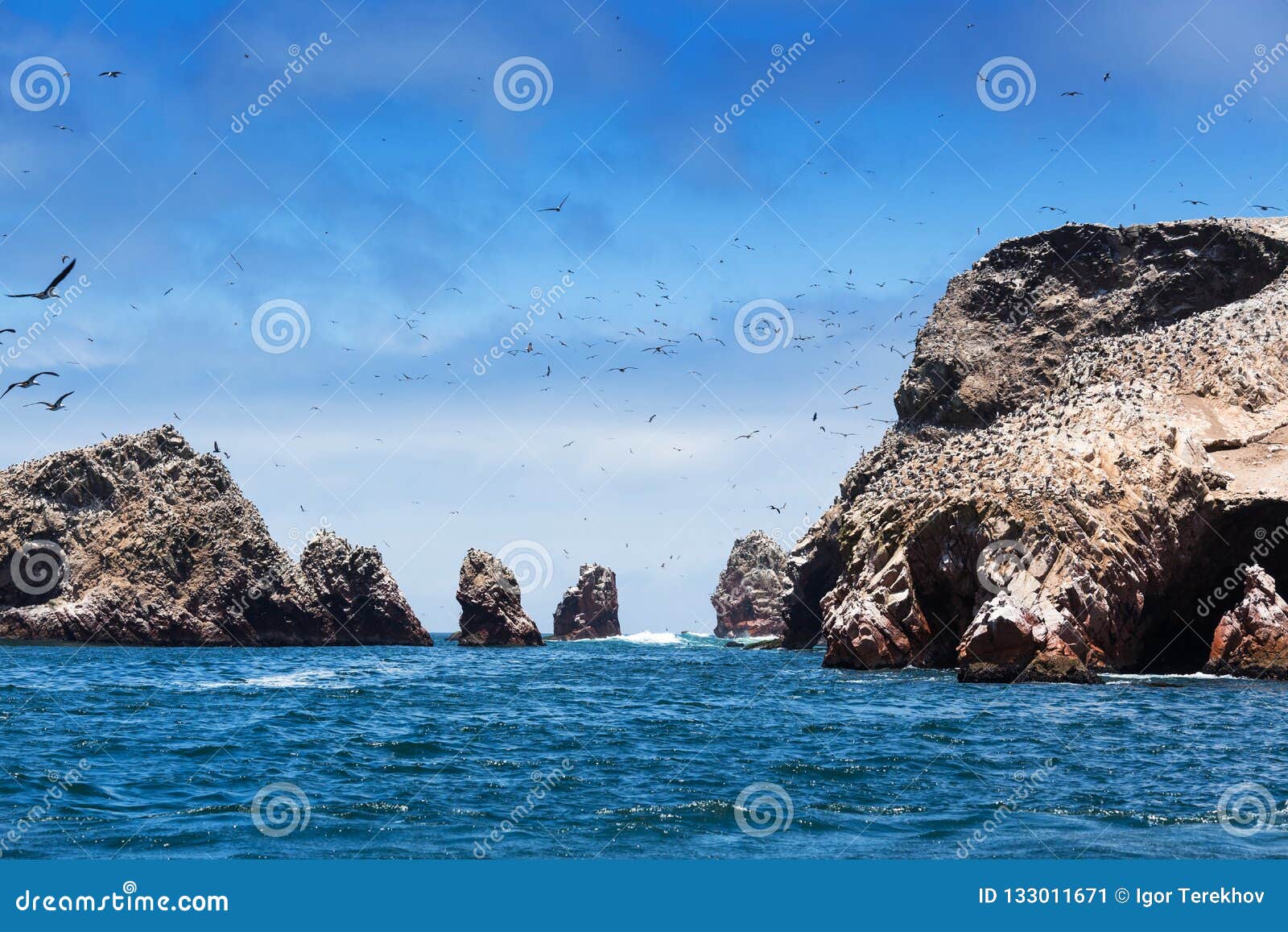 Ocean and Birds on Sunny Day Stock Image - Image of journey, island ...