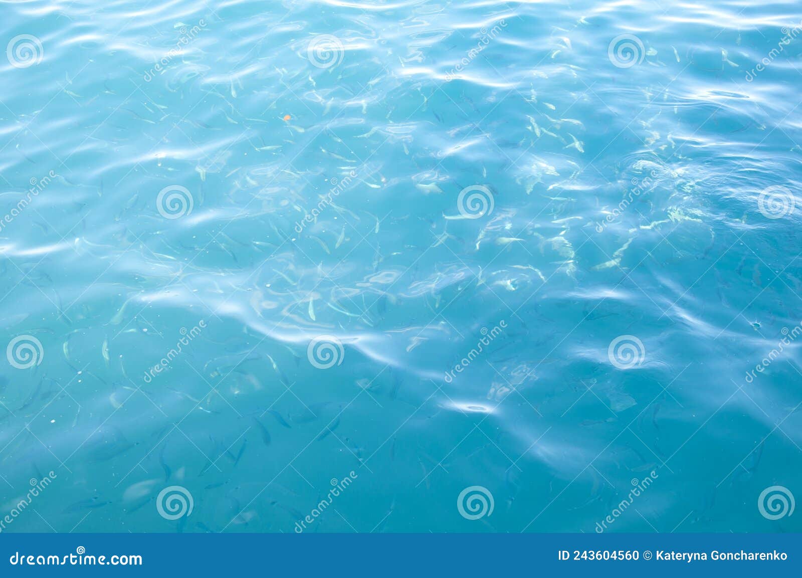 Ocean Blue Water with Fish. Summer Vacation Concept Stock Photo - Image ...