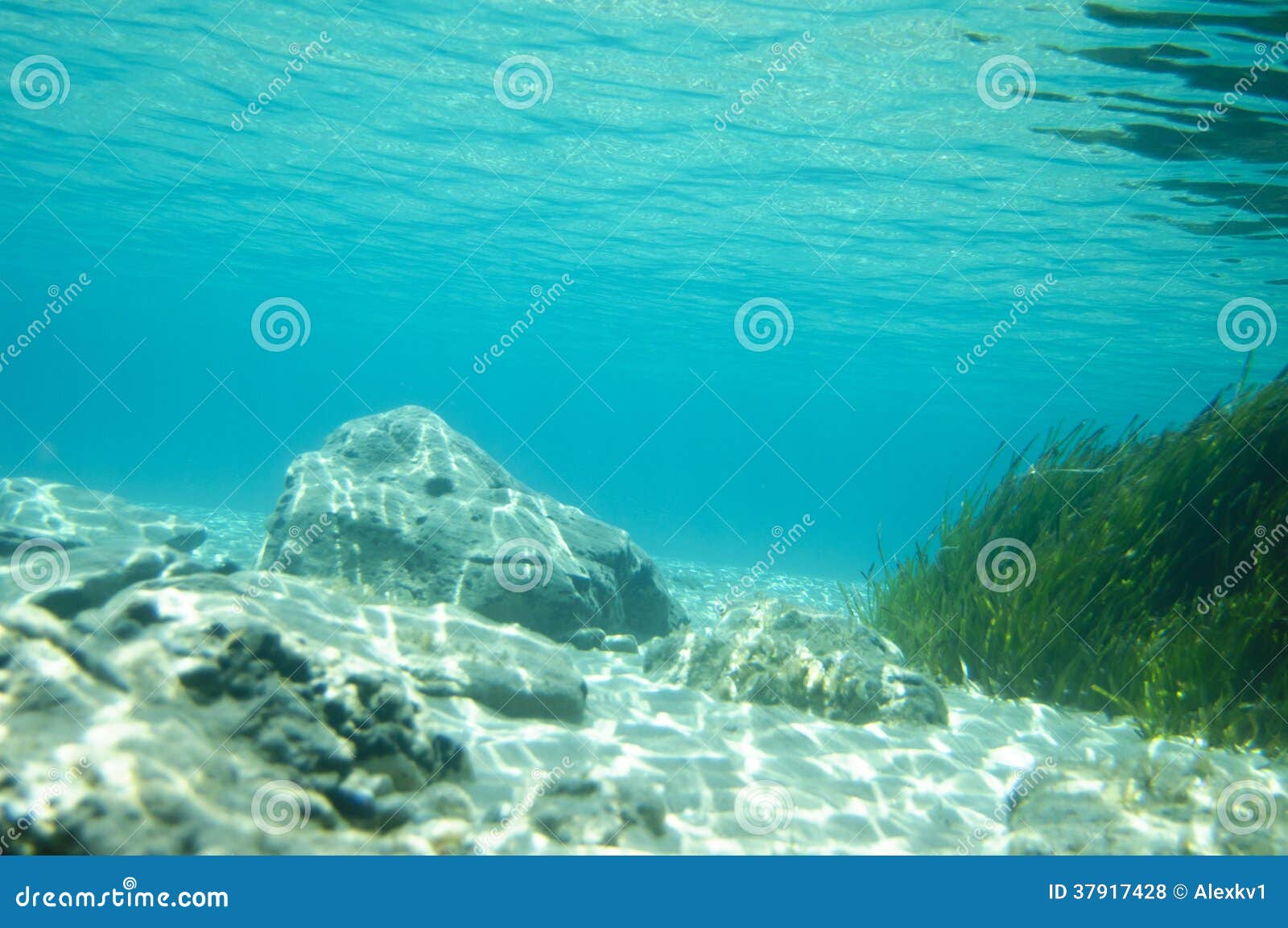 Ocean bottom stock photo. Image of lake, backdrop, beauty - 37917428