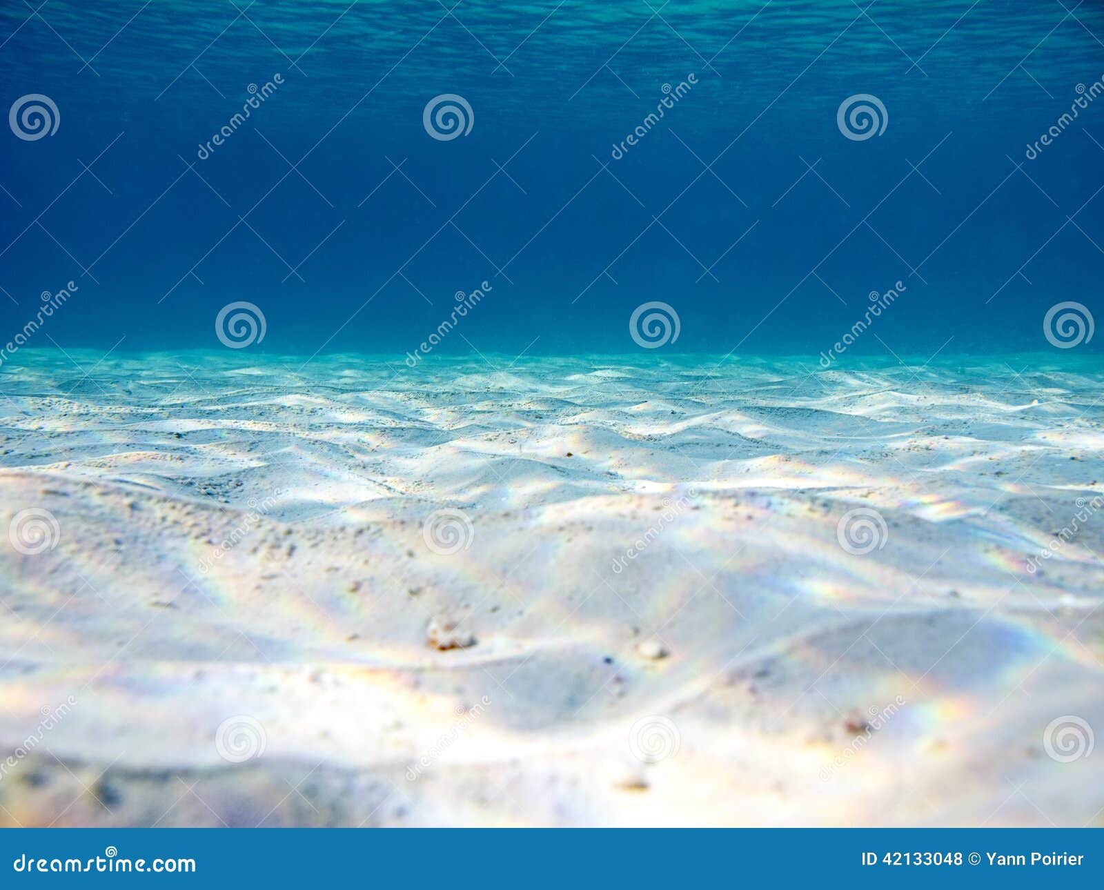 Ocean bottom stock photo. Image of marine, blue, fresh - 42133048