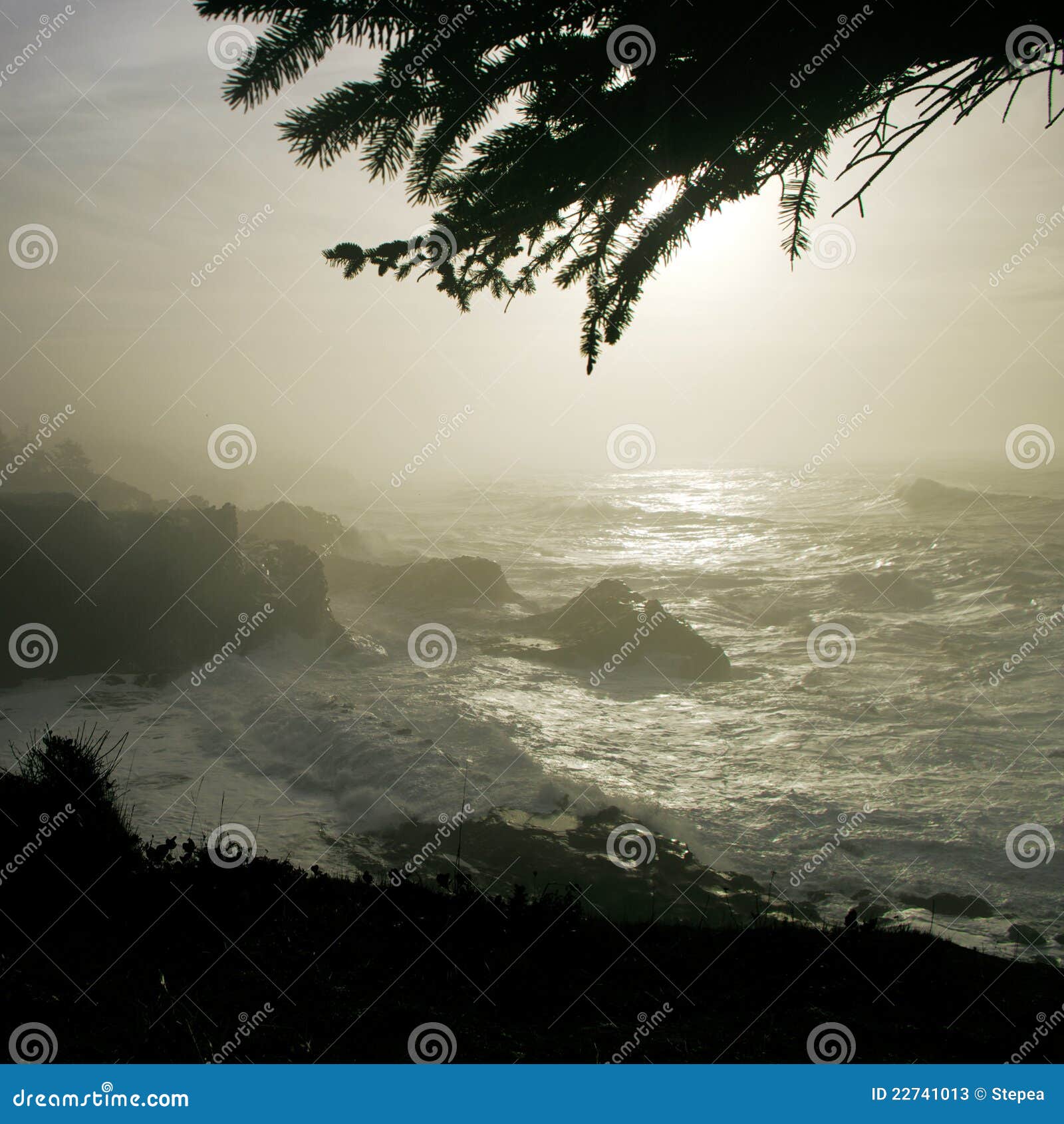 Ocean Cliff View stock image. Image of wave, nature, view - 22741013
