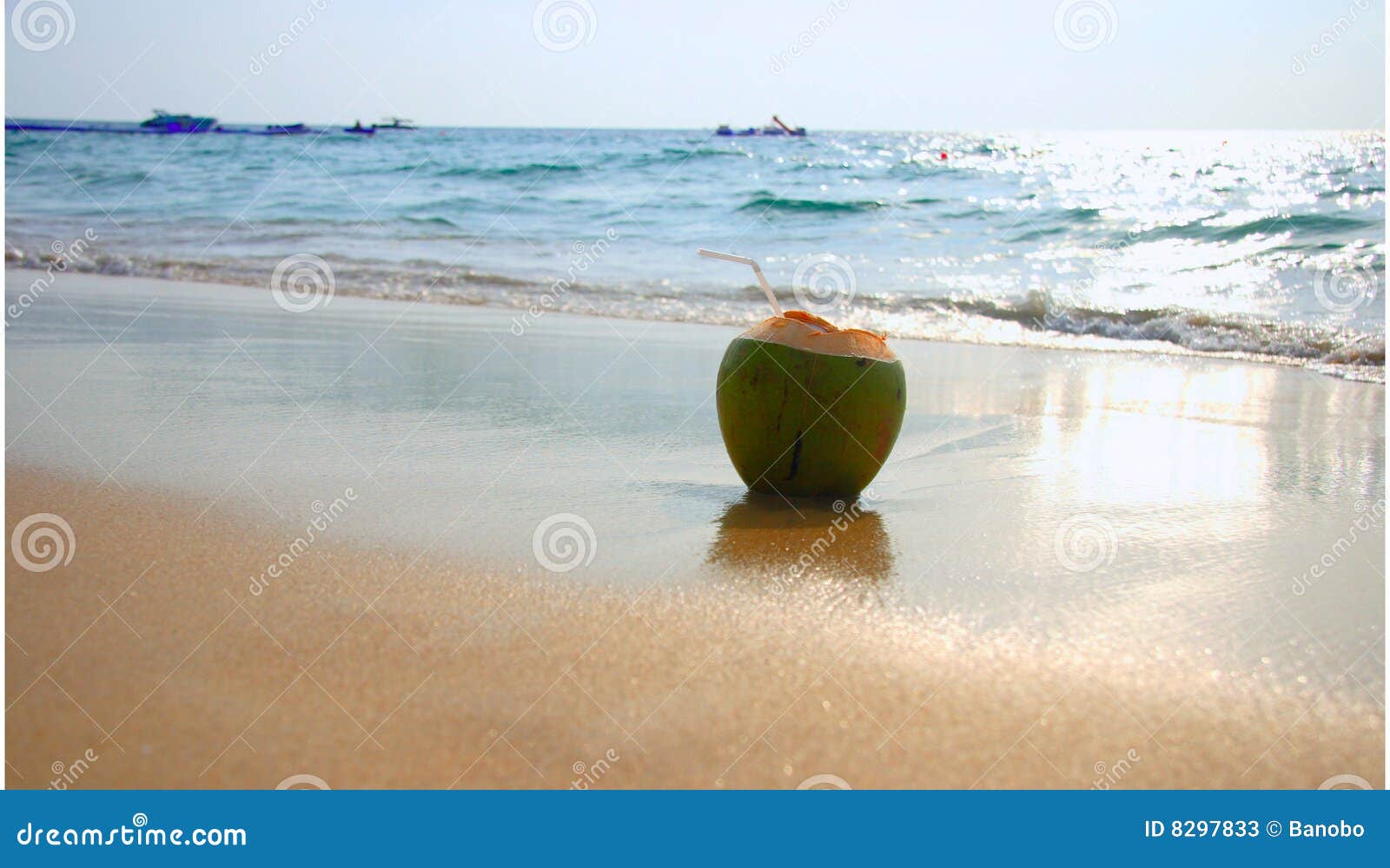 Ocean coconut stock image. Image of tailand, coconut, green - 8297833