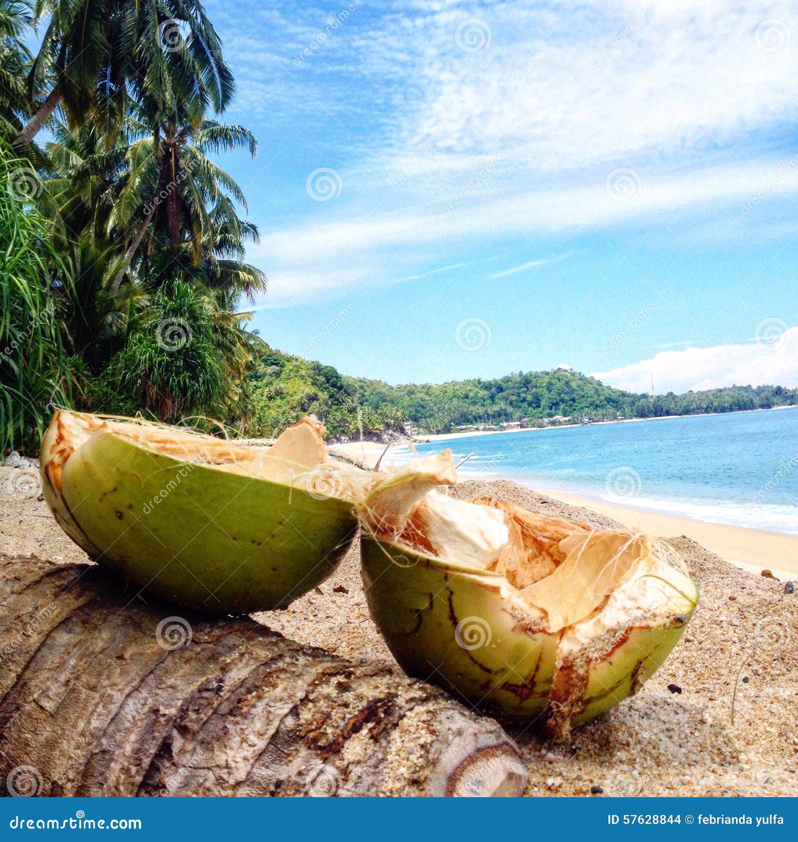 Ocean coconut editorial stock image. Image of coconut - 57628844