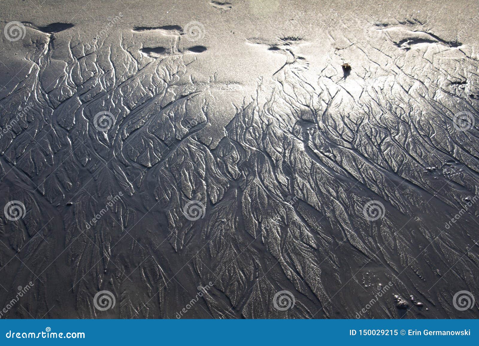 Ocean Created Patterns in the Sand Stock Image - Image of roots ...