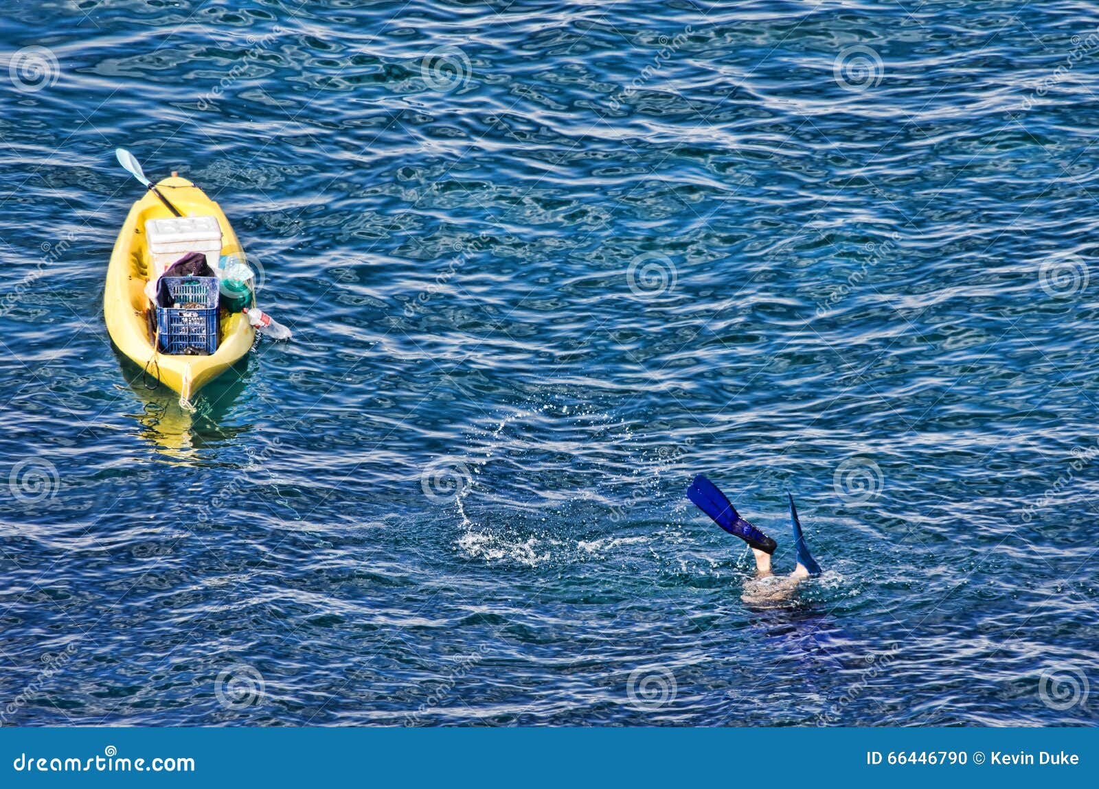 Ocean Diver stock photo. Image of water, swimming, diver - 66446790