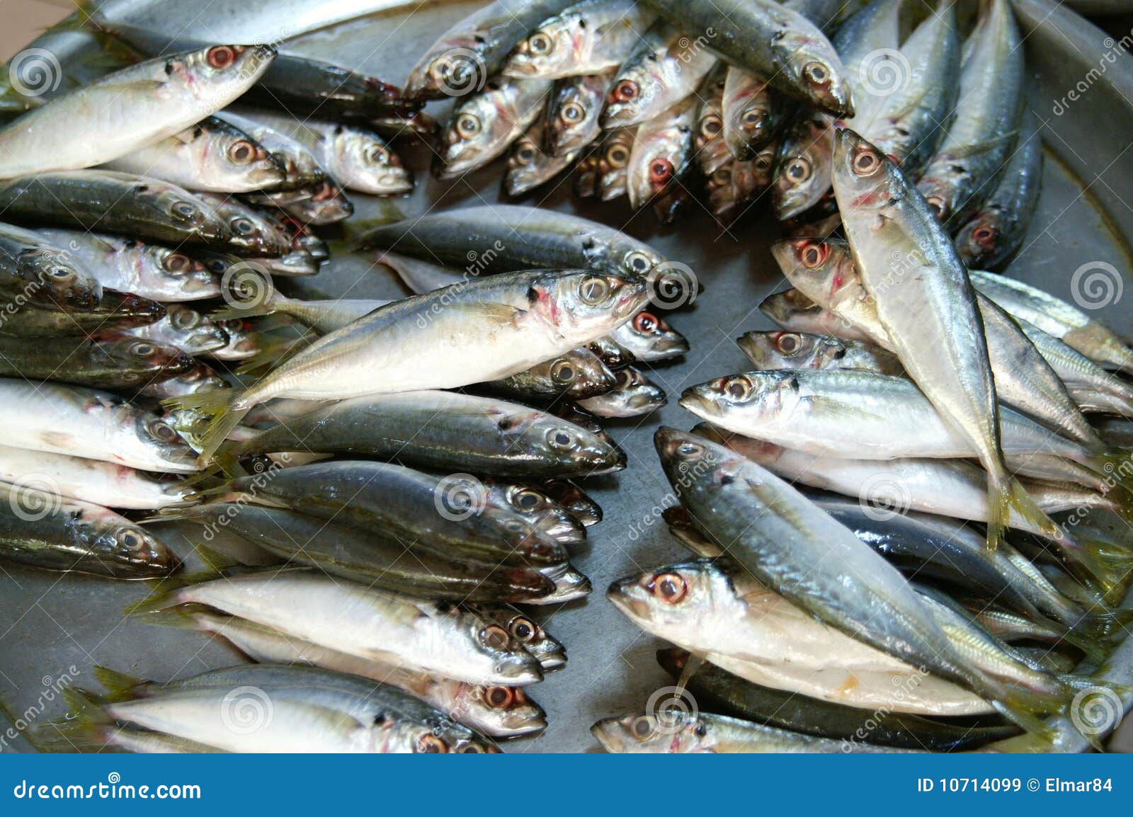 Ocean Fish stock image. Image of fish, iodine, fresh - 10714099