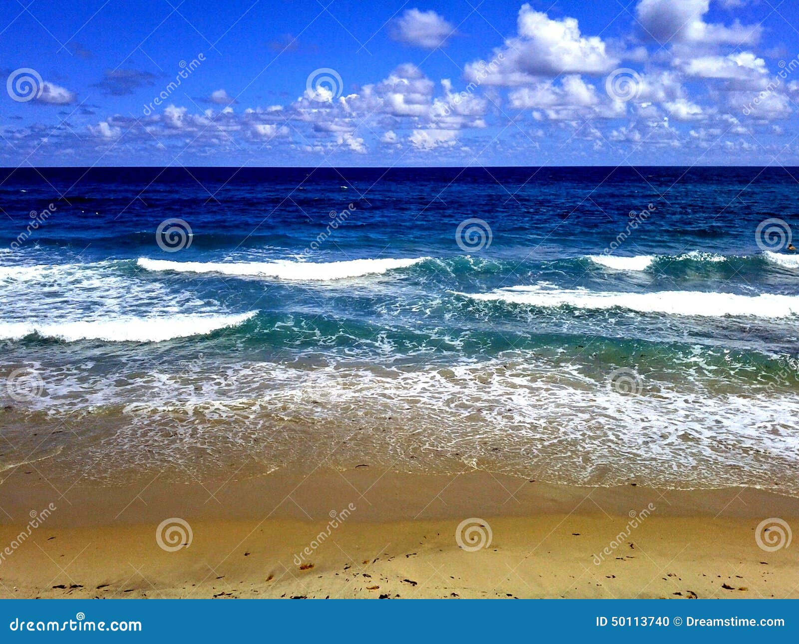 Ocean stock photo. Image of tropical, blue, florida, water - 50113740