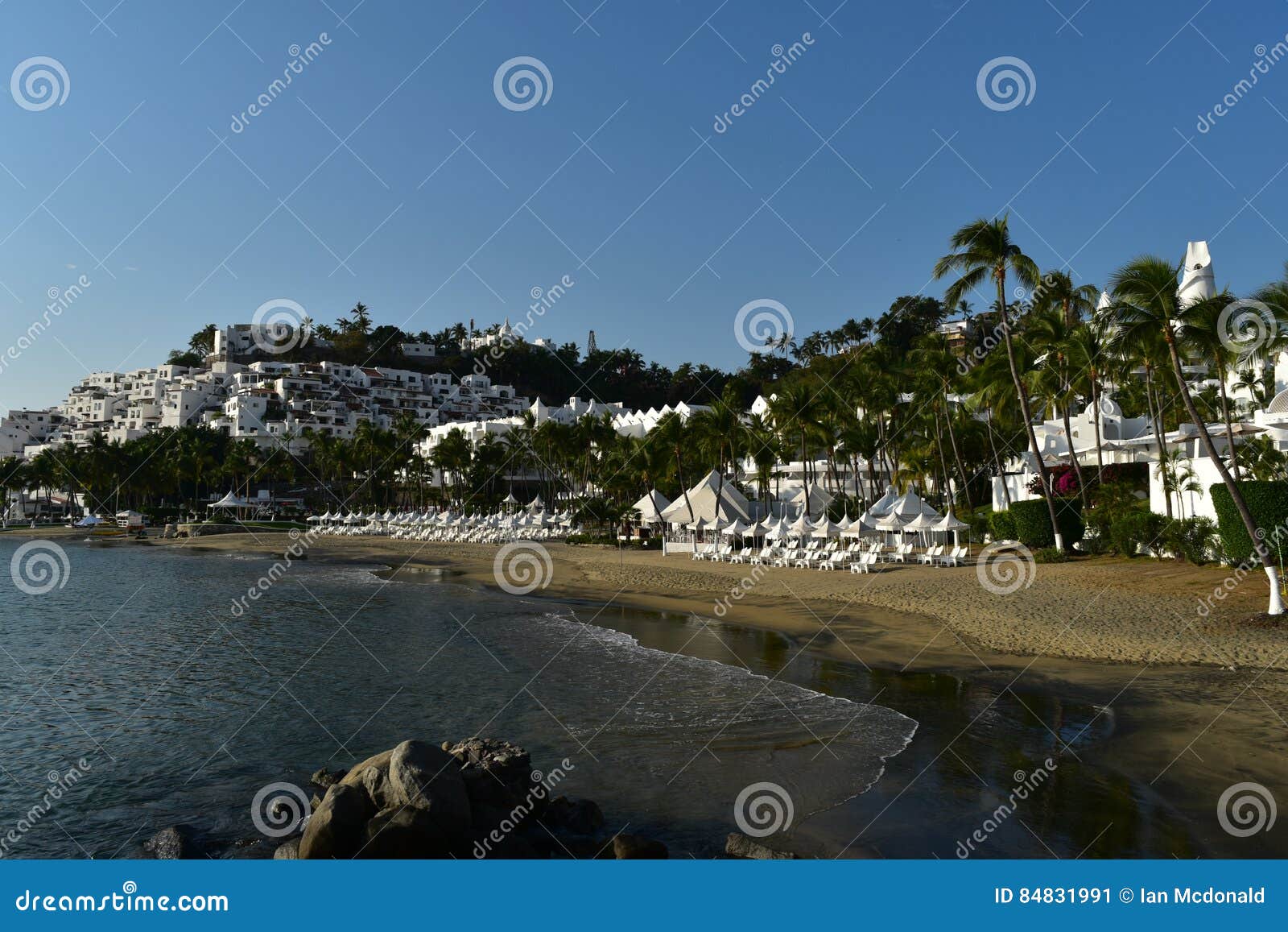 Ocean Front Resort stock image. Image of relax, palm - 84831991