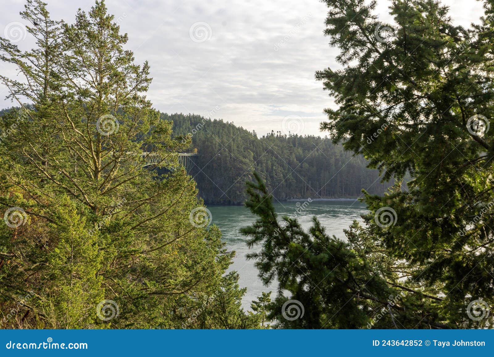 Ocean Inlet through Forest Cliffs with Clouds Above Stock Photo - Image of head, seascape: 243642852