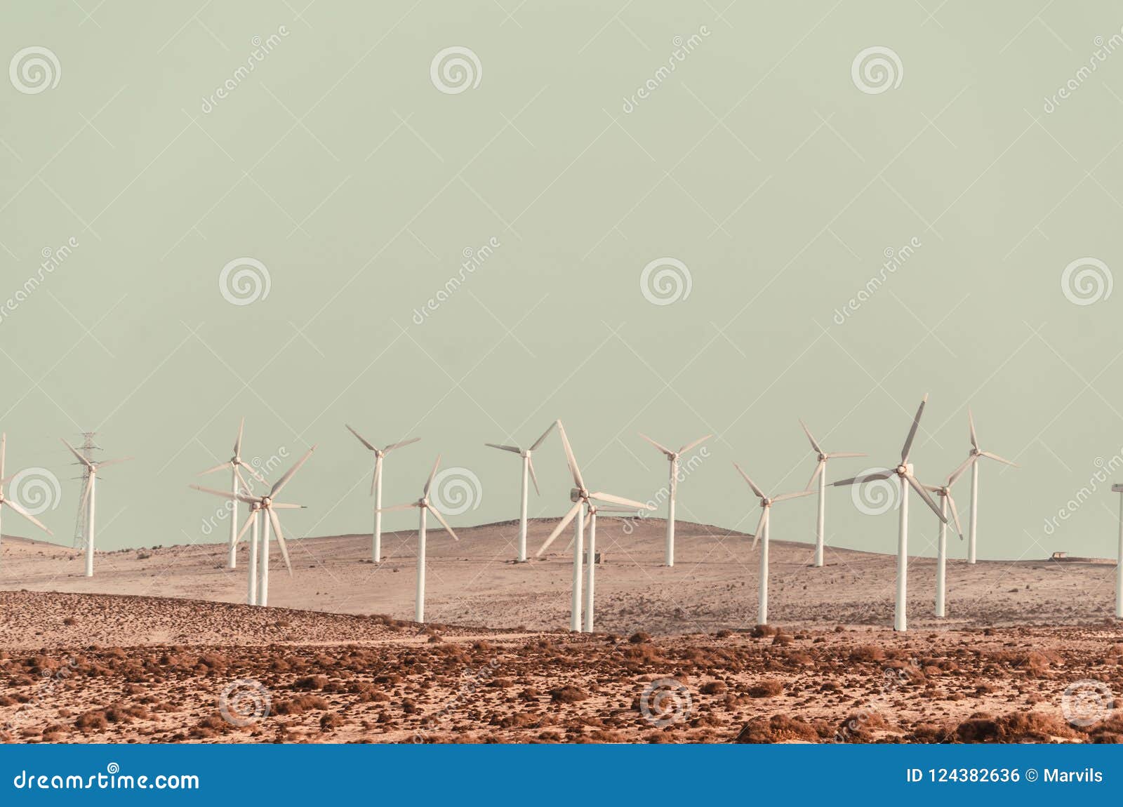 Ocean Landscape. Catamaran Sail in the Ocean Stock Photo - Image of ...
