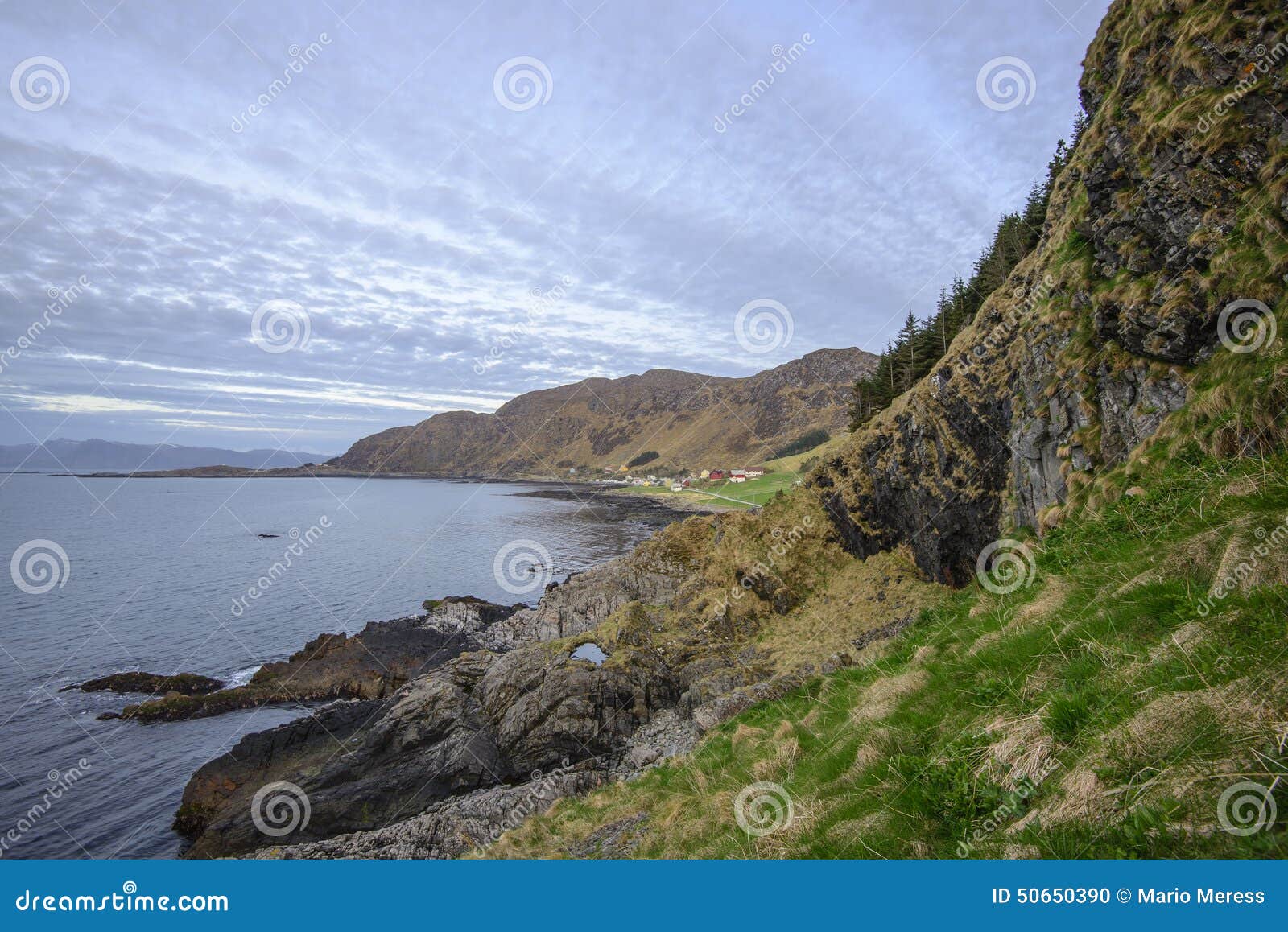 Ocean stock photo. Image of nature, horizon, ocean, water - 50650390
