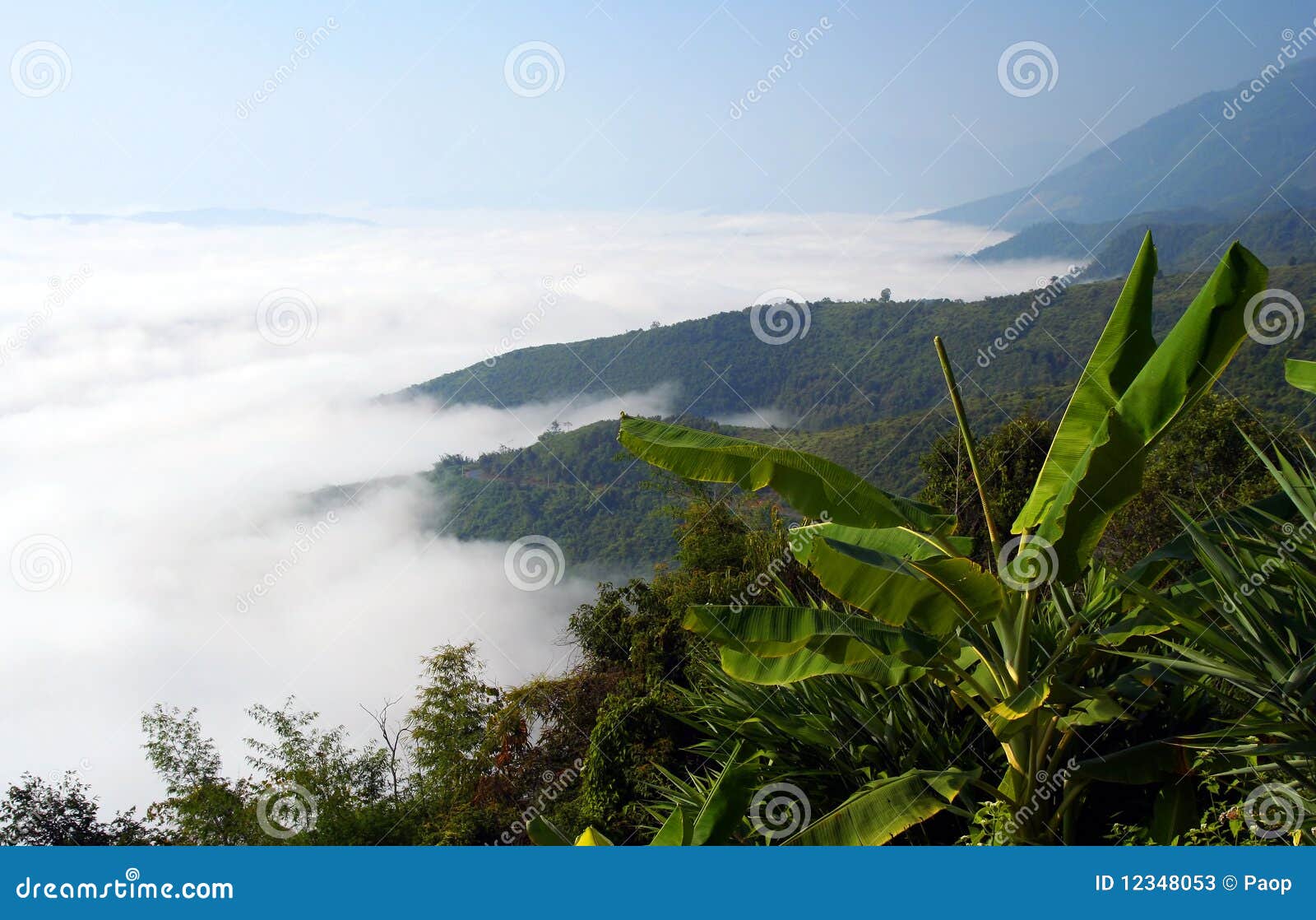 Ocean of Mist stock image. Image of peak, asia, dense - 12348053