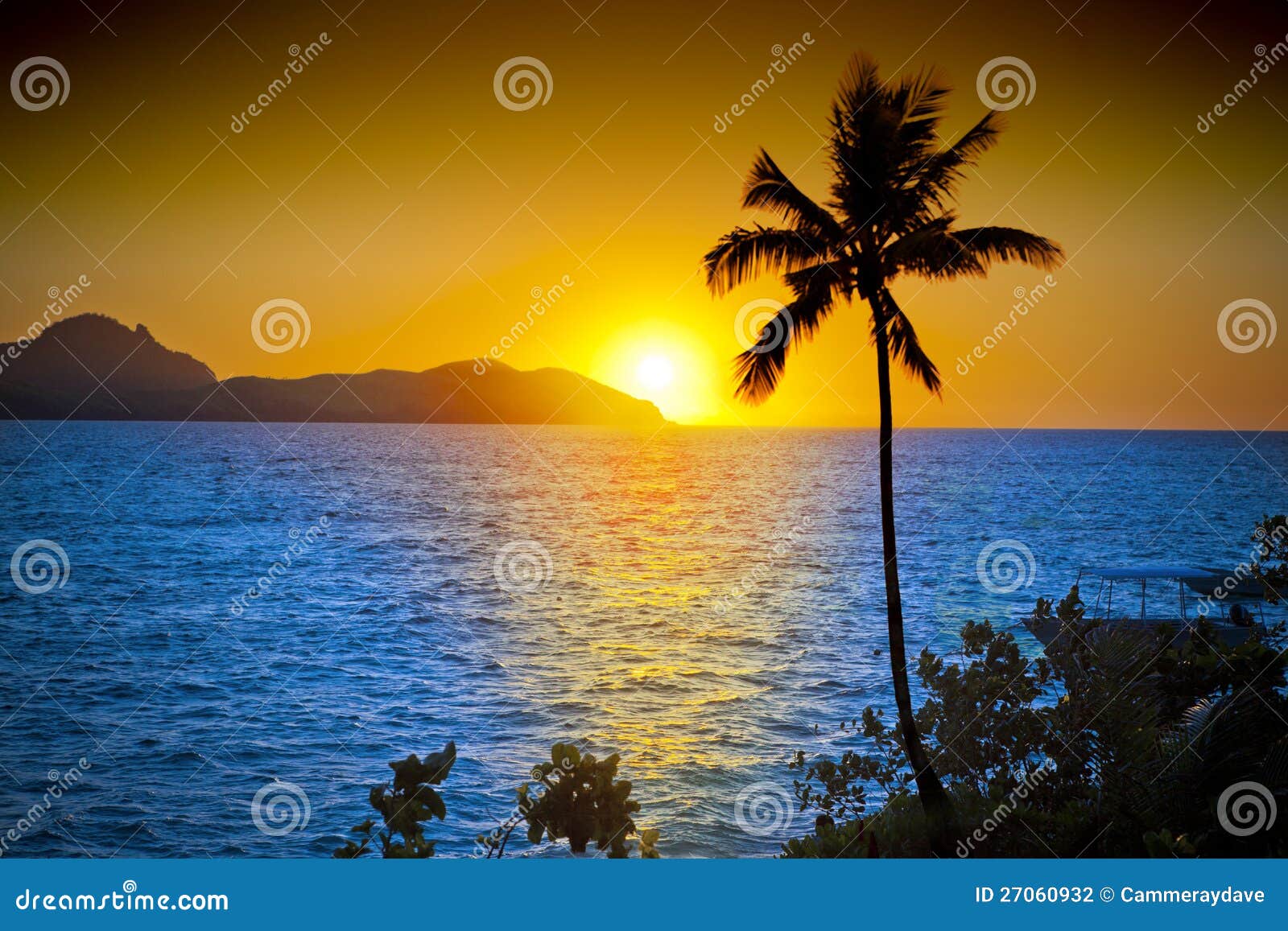 Ocean Palm Tree Tropical Sunset Sky Stock Photo - Image of fijian ...