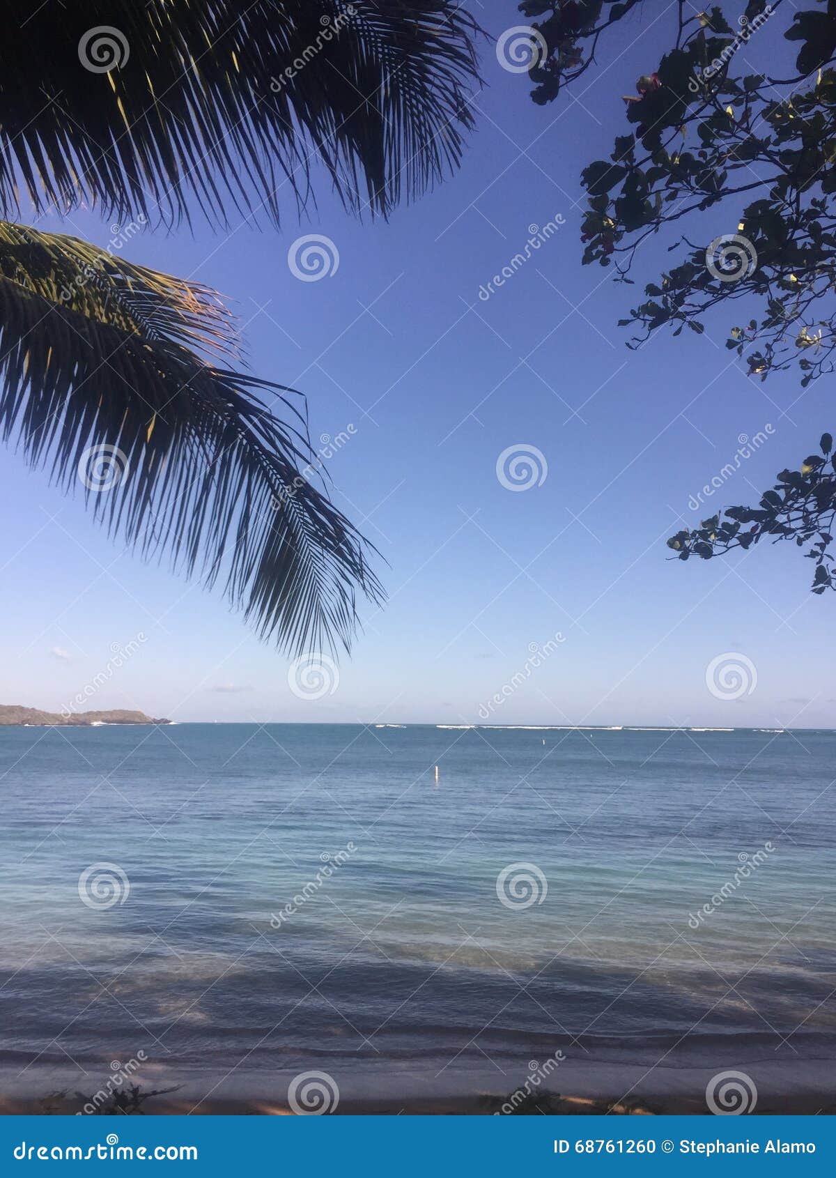 Ocean Paradise stock photo. Image of palms, ocean, overlook - 68761260