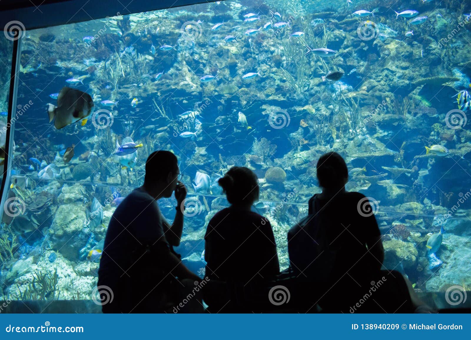 Ocean Park Theme Park in Hong Kong Editorial Stock Image - Image of ... Ocean Park Theme Park in Hong Kong Editorial Stock Image - Image of ...