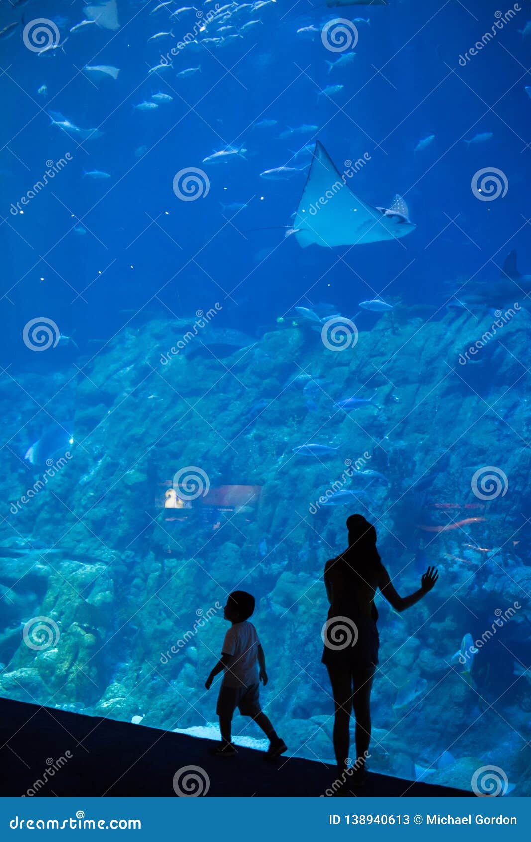 Ocean Park Theme Park in Hong Kong Editorial Stock Photo - Image of ... Ocean Park Theme Park in Hong Kong Editorial Stock Photo - Image of ...
