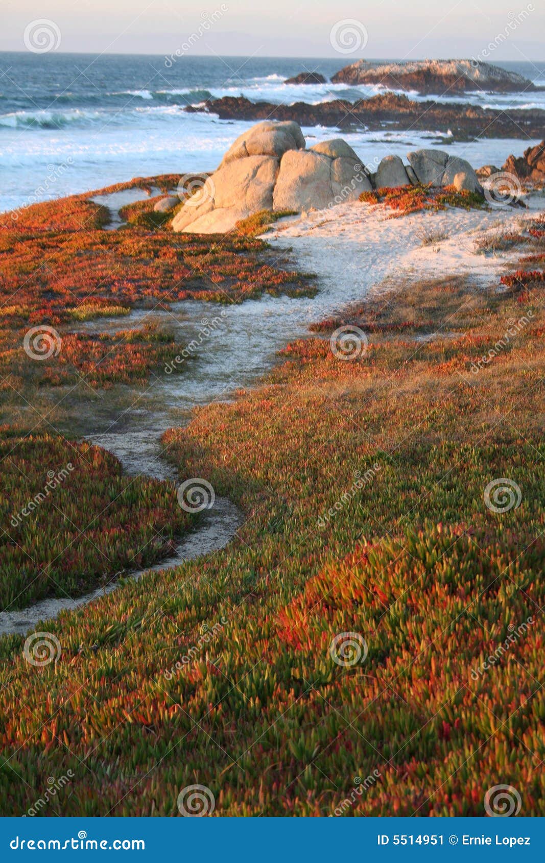 Ocean Path stock image. Image of california, beautiful - 5514951