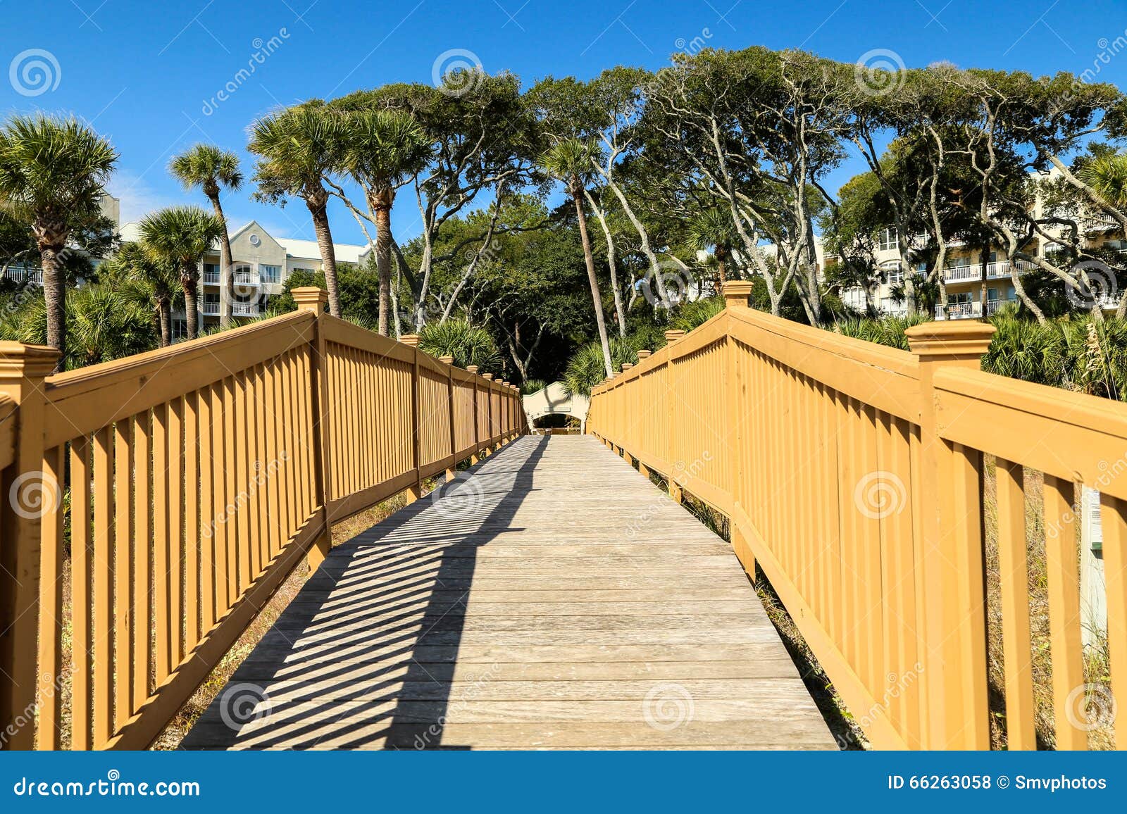 Ocean Pathway stock photo. Image of trees, condo, horizontal - 66263058