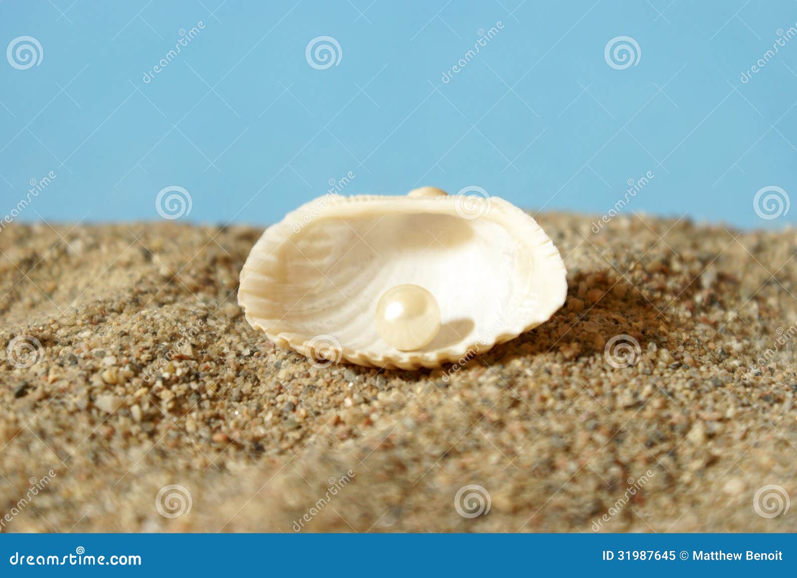 Ocean Pearl Wallpaper