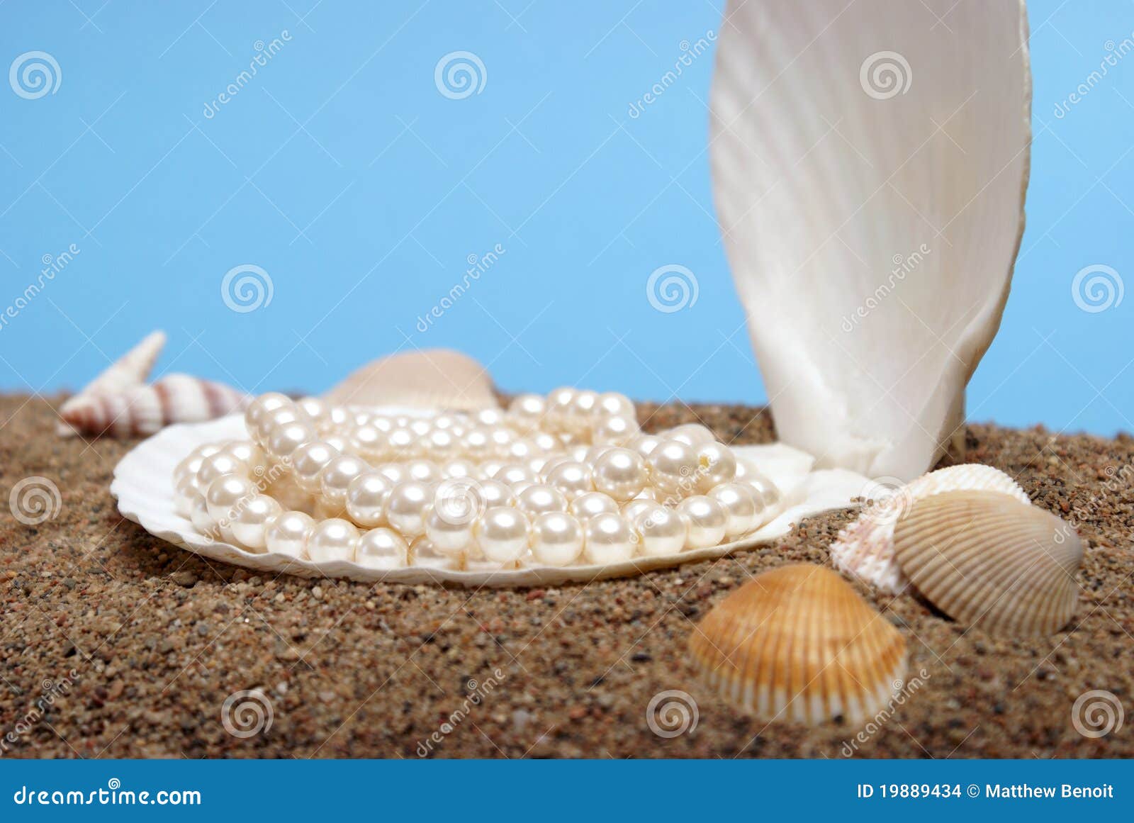 Ocean Pearls stock photo. Image of scene, treasure, pearl - 19889434