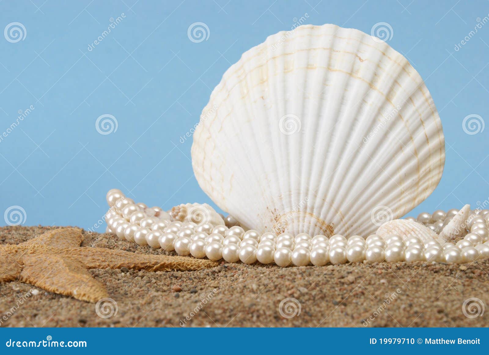 Ocean Pearls stock photo. Image of blue, tropical, necklace - 19979710