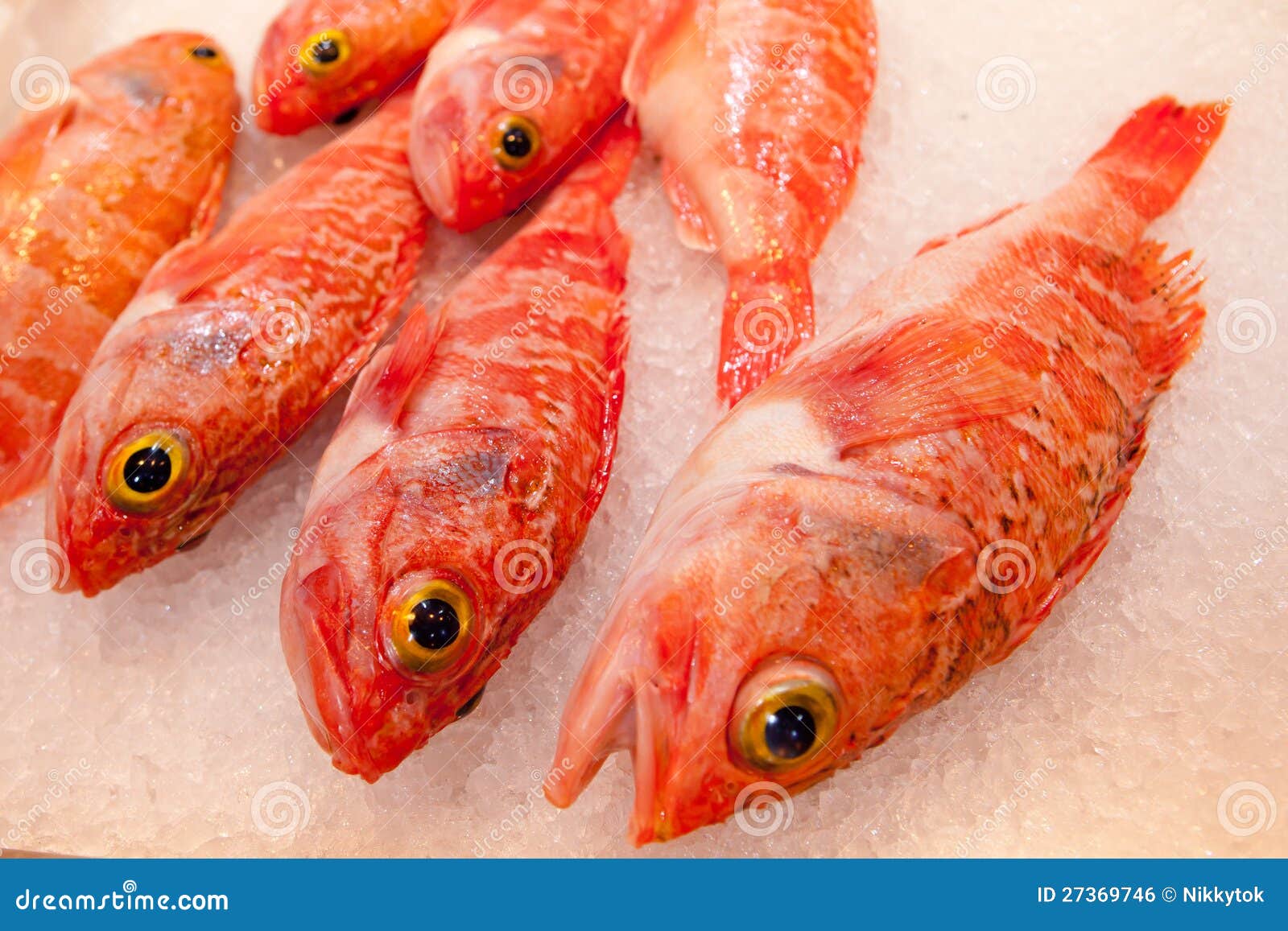 Ocean perch stock photo. Image of arranged, widow, market - 27369746