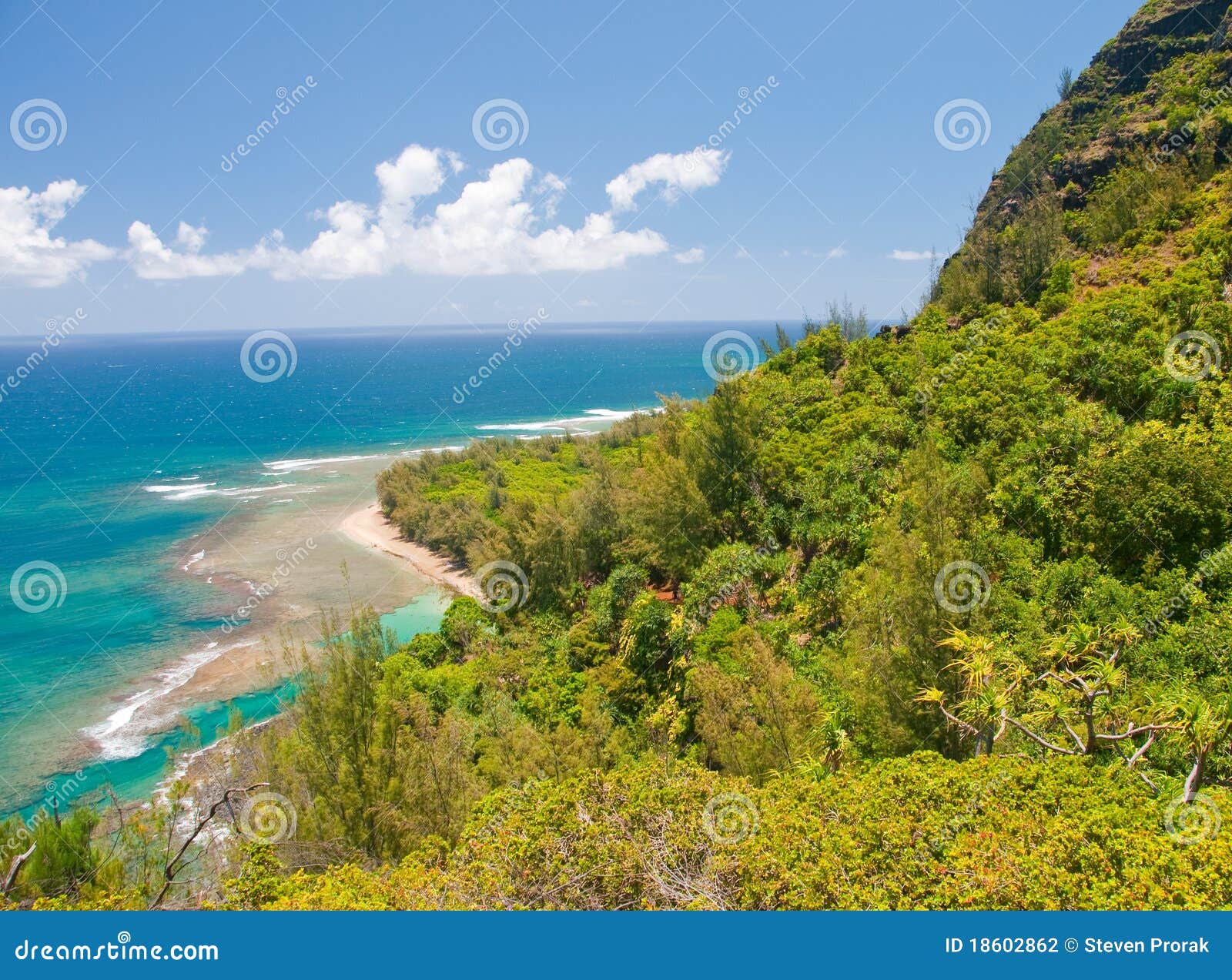 Ocean and Rain forest stock photo. Image of ocean, hawaii - 18602862