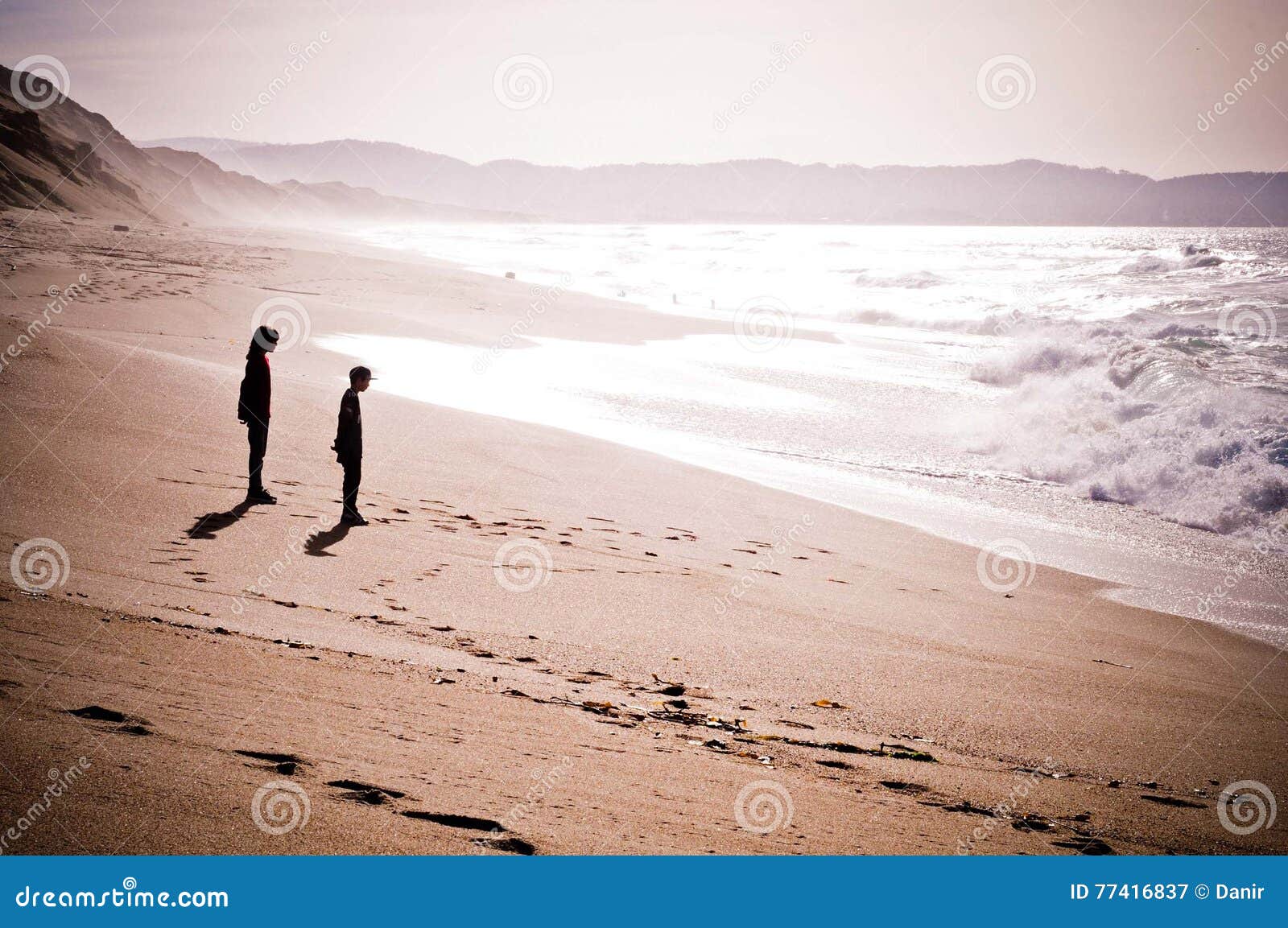 Ocean of Respect stock image. Image of ocean, kelp, rolling - 77416837