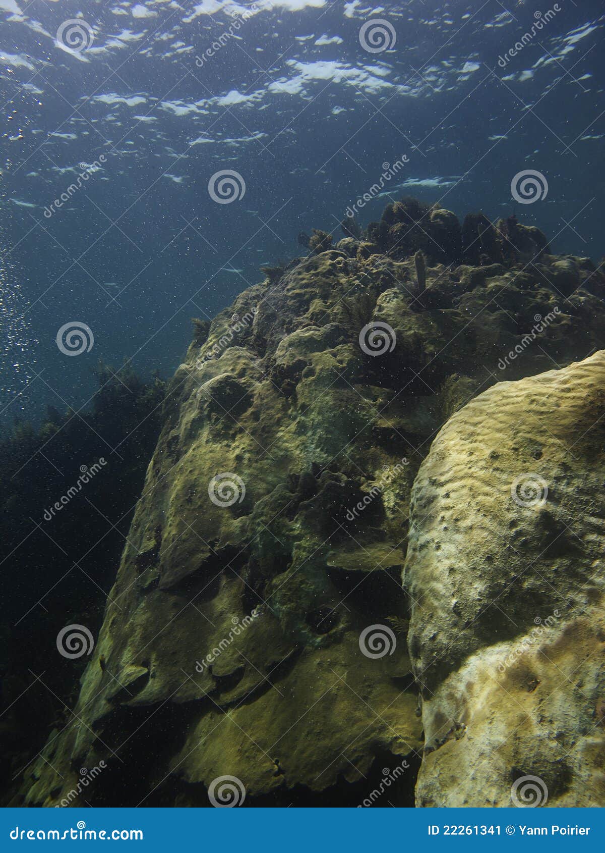 Ocean rock stock image. Image of underwater, travel, colorful - 22261341
