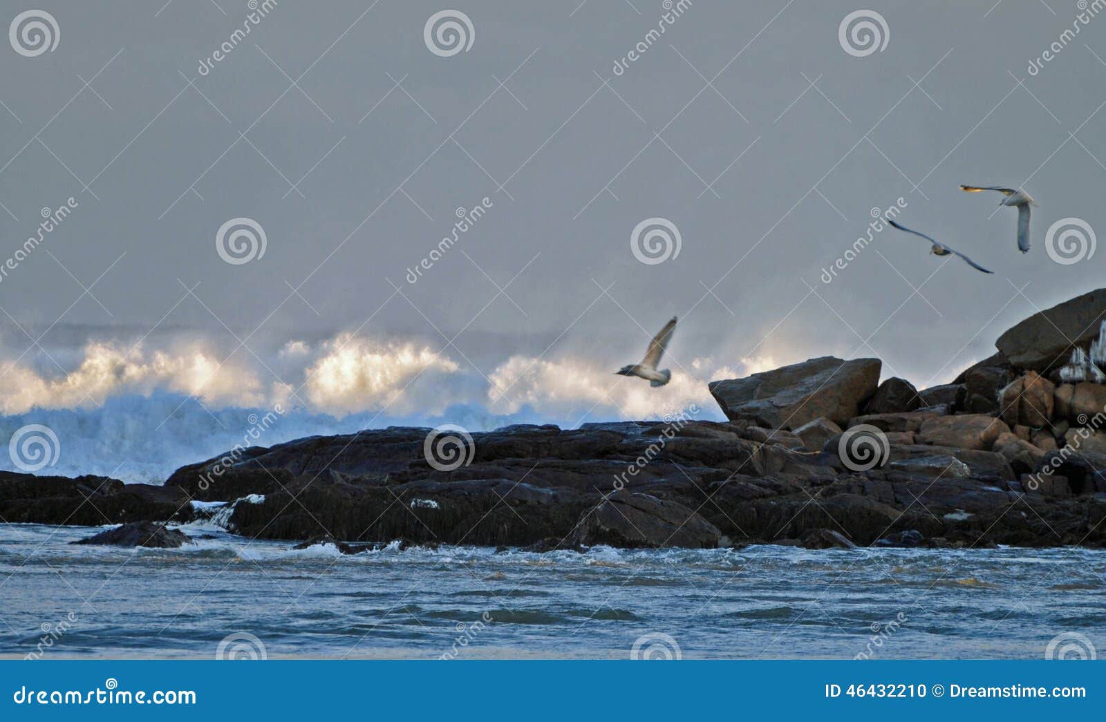 The ocean s rage stock photo. Image of oceans, waves - 46432210