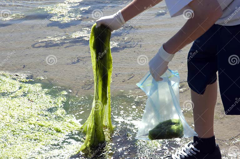 Ocean Science Project stock photo. Image of education - 11130694