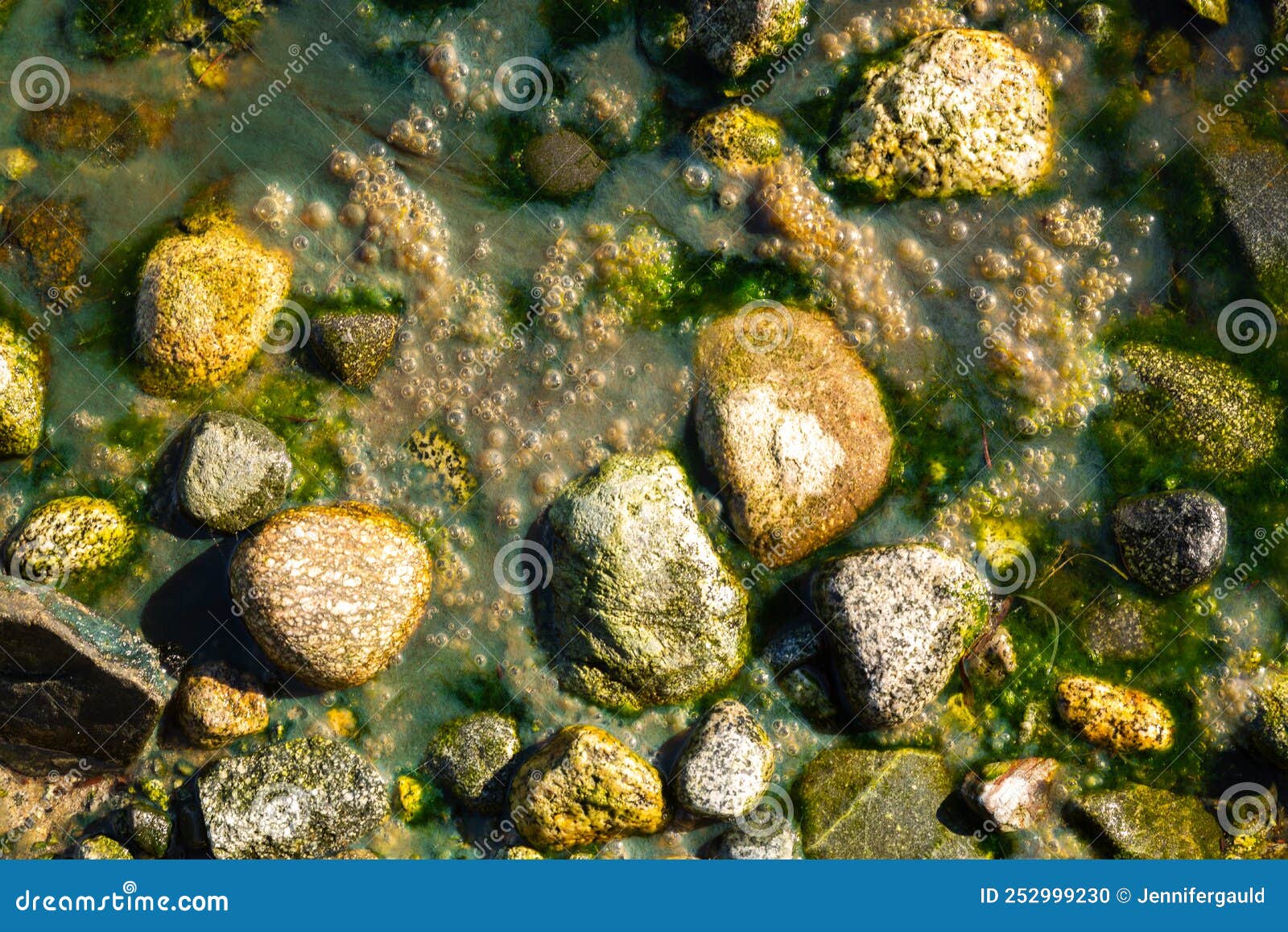 Ocean Scum, Algae and Rock Texture Stock Photo - Image of lake ...