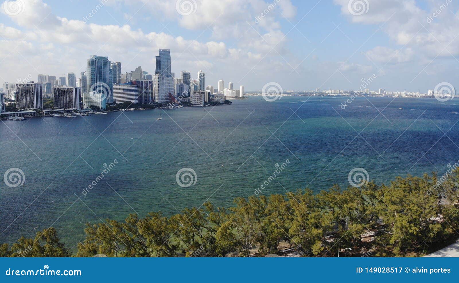 Ocean Sea Miami Florida Forest Stock Image - Image of ocean, forest ...