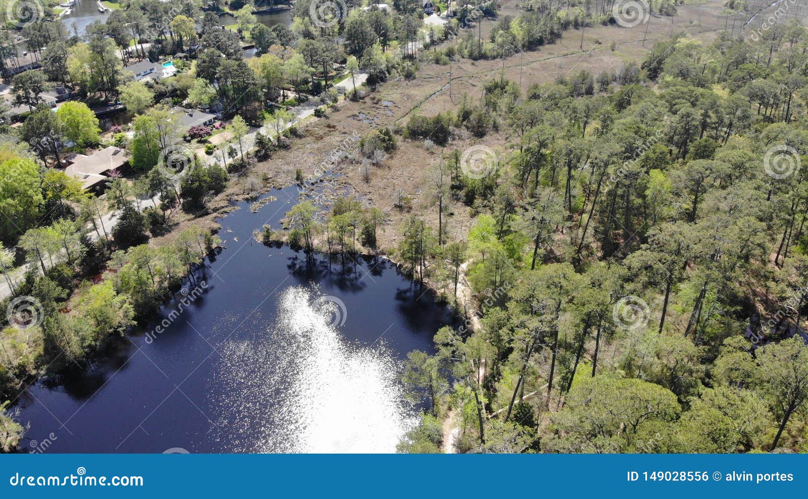 Ocean Sea Miami Florida Forest Stock Photo - Image of florida, miami ...