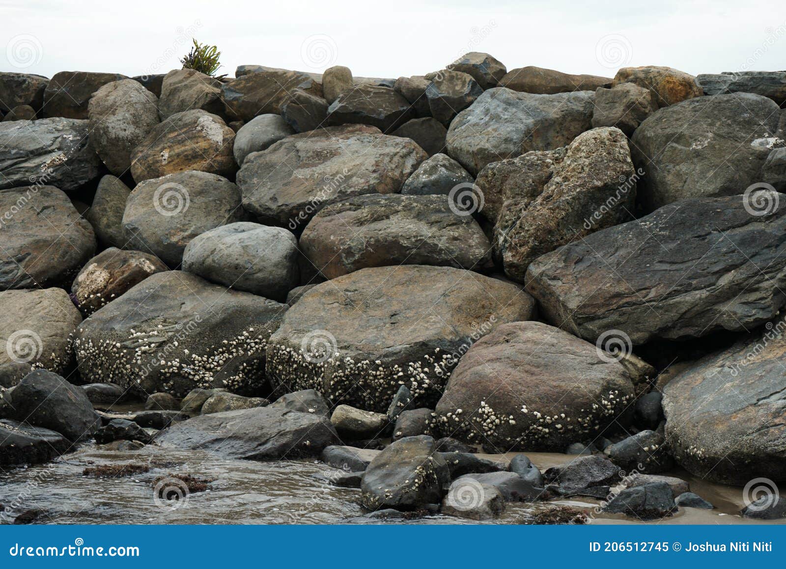 Ocean Sea Rock Texture for Background Stock Image - Image of stonewall ...