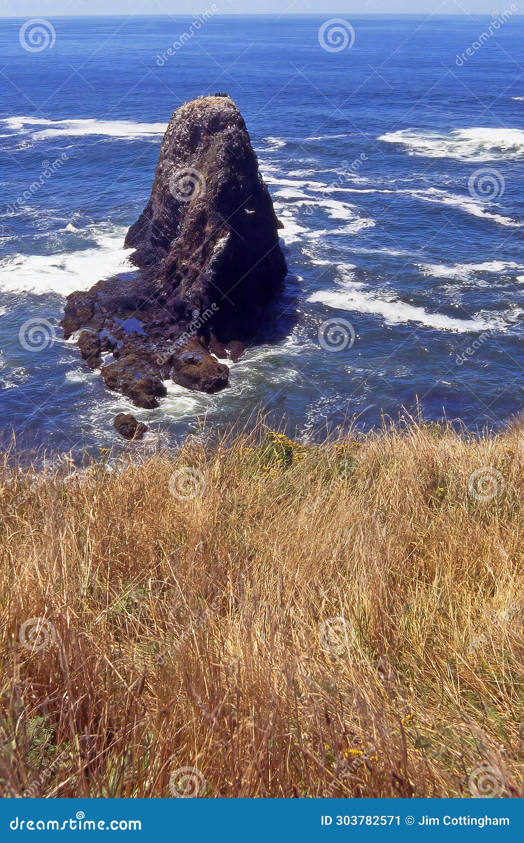 Ocean Sea Stack Protrudes Out of the Surf Stock Image - Image of summer ...