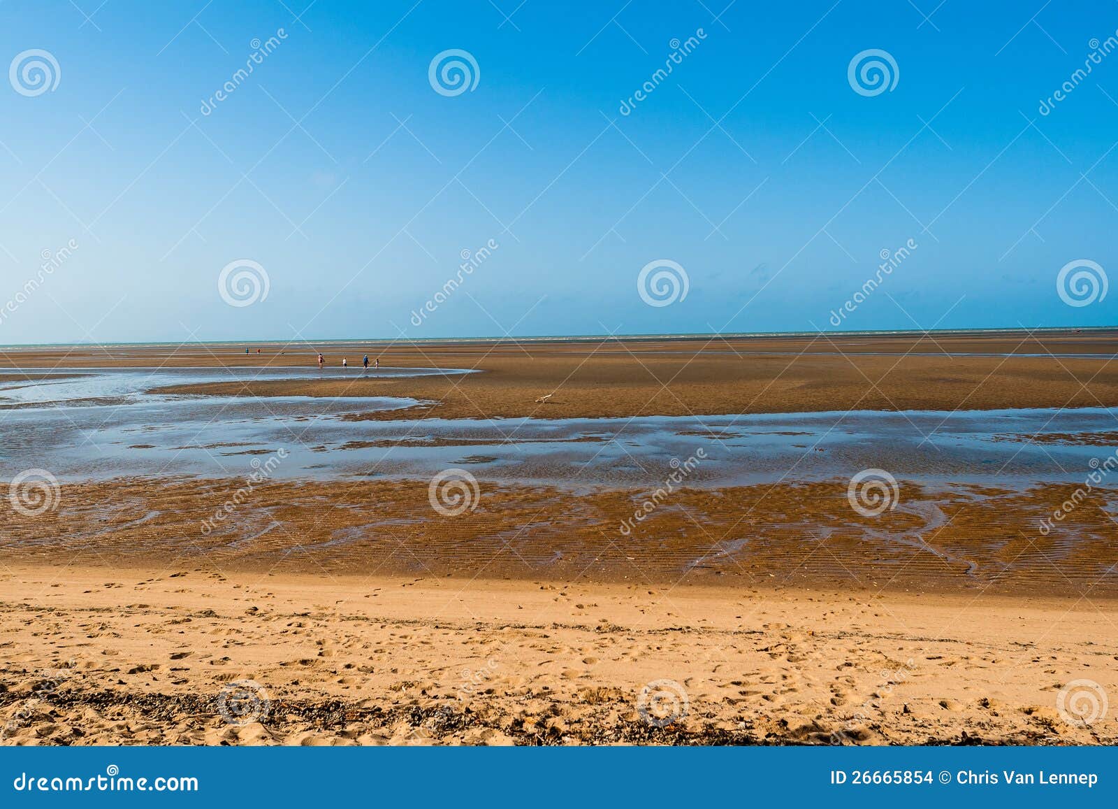 Tidal Sand Flats, Stream And Salt Marsh Of Nature Reserve Boschplaat On ...