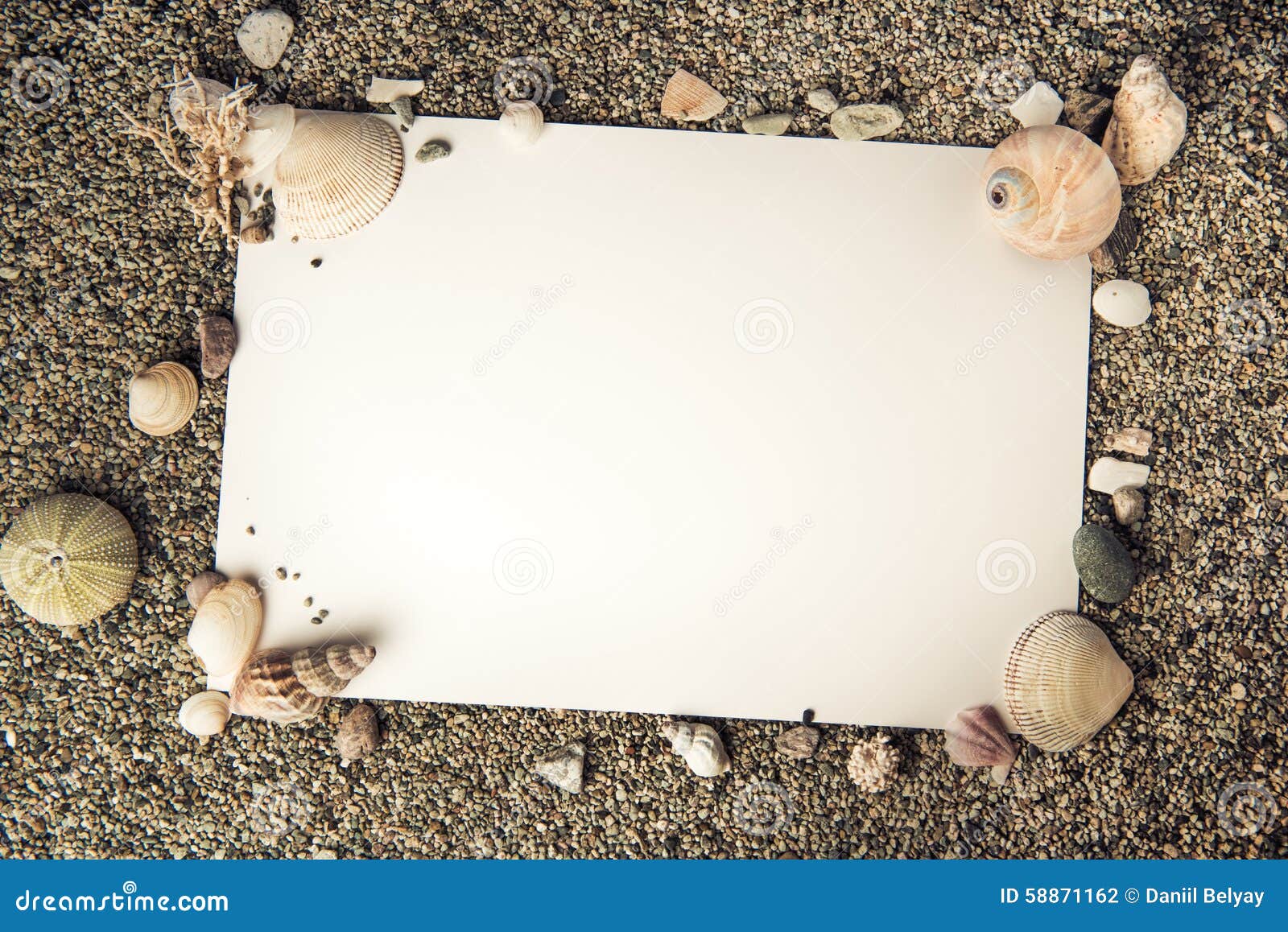 Ocean Shell Frame Background with White Paper Stock Photo - Image of ...