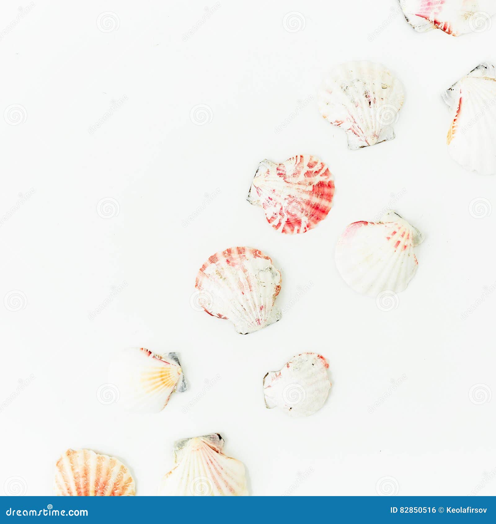 Ocean Shells. Flat Lay. Top View Stock Photo - Image of blue, vacation ...