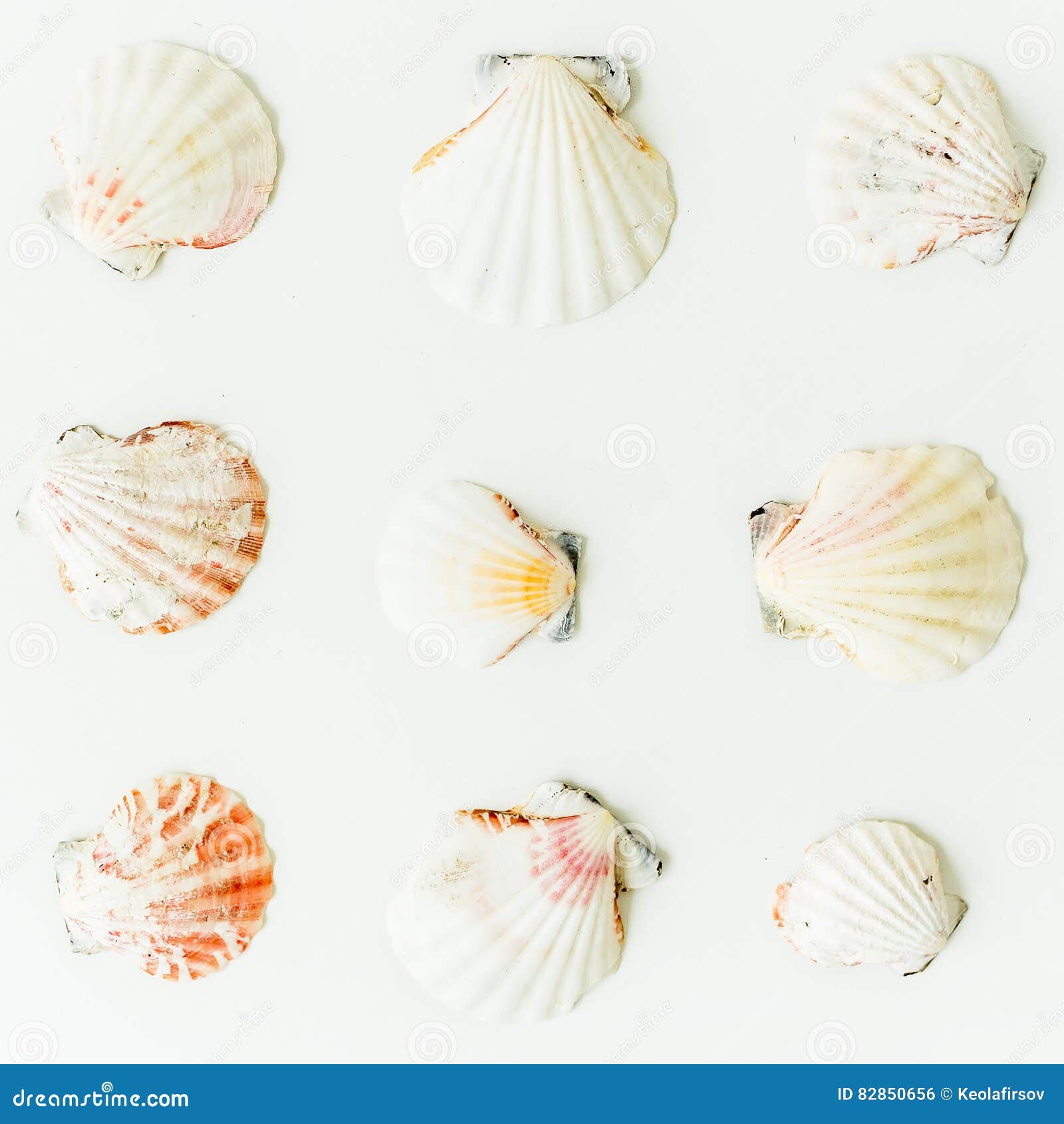 Ocean Shells. Flat Lay. Top View Stock Photo - Image of coral, blue ...