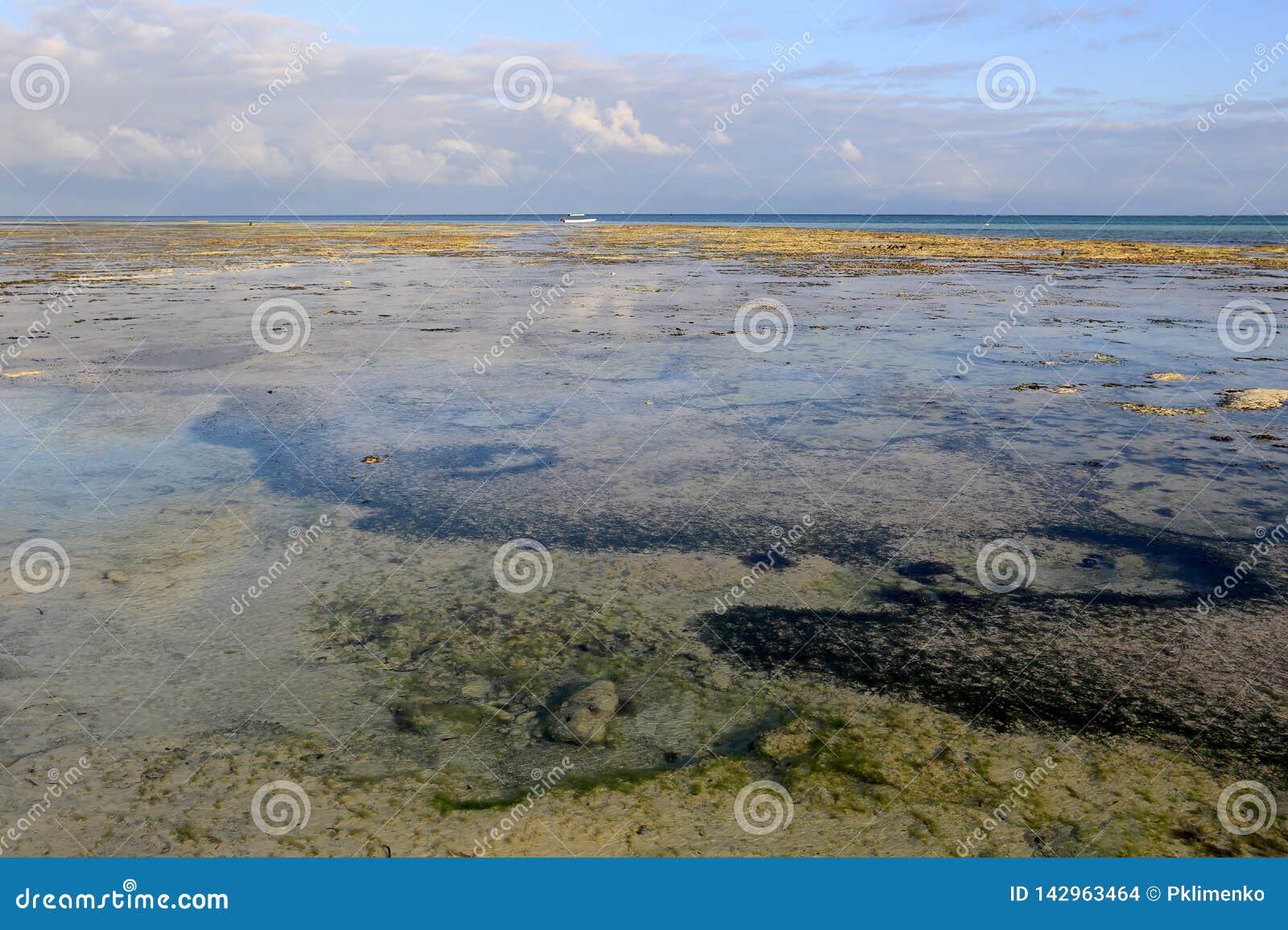 Ocean shore after low tide stock photo. Image of sunlight - 142963464